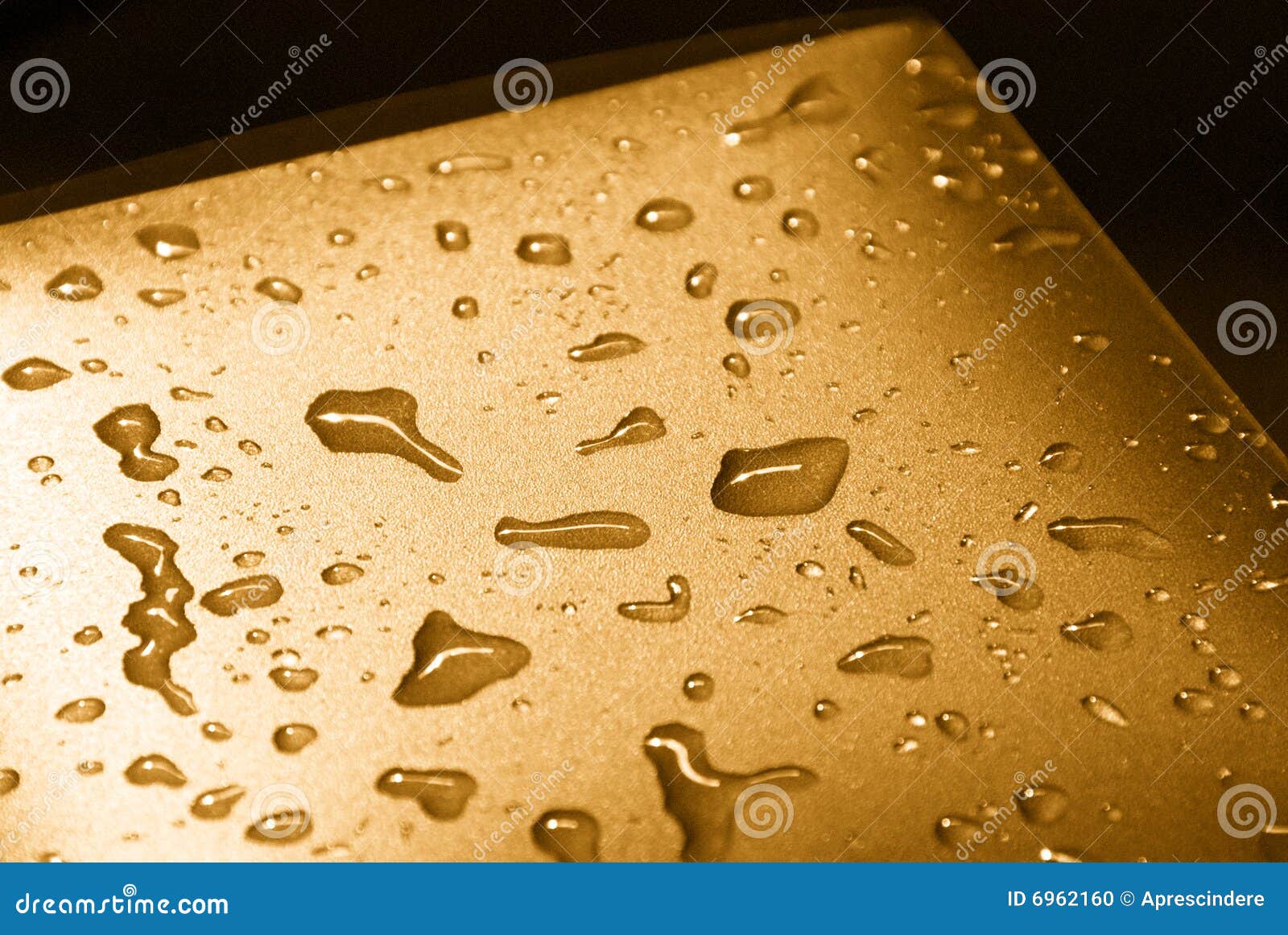 Golden drops stock photo. Image of clean, crystal, condensed - 6962160