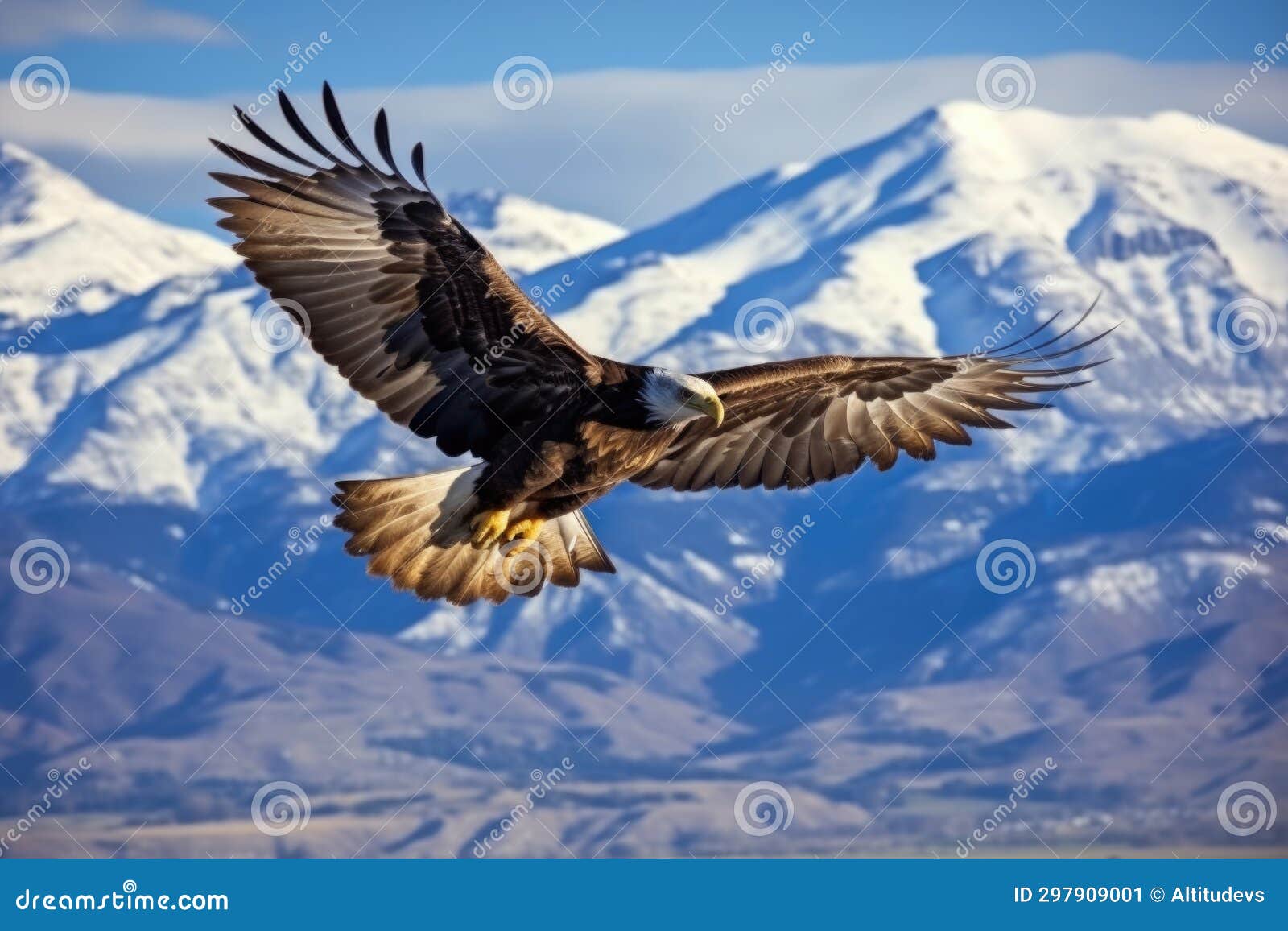 Golden Eagle Flying High Above Mountain Range Stock Image - Image of ...