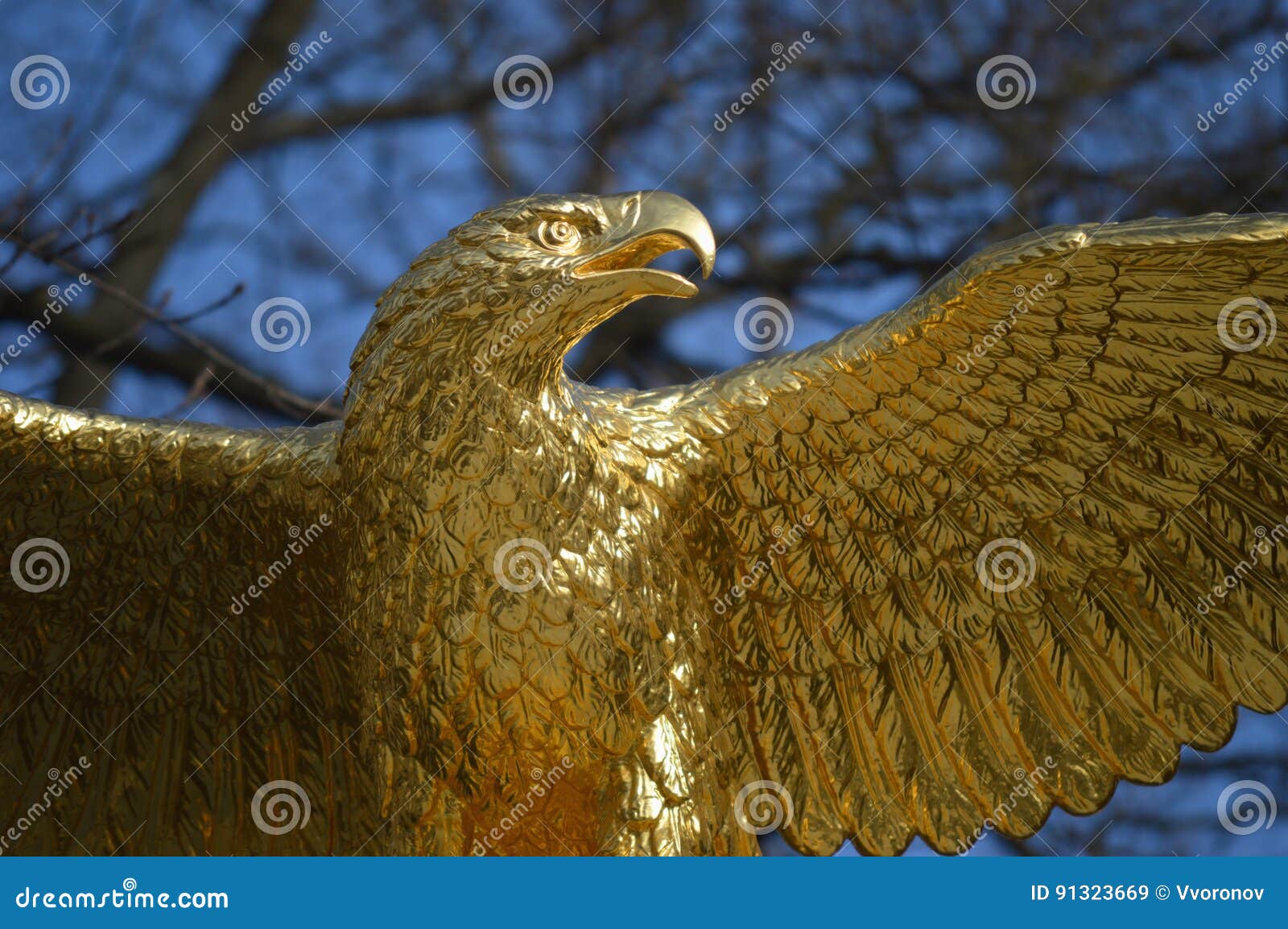 Golden Eagle stock image. Image of bird, sculpture, closeup - 91323669