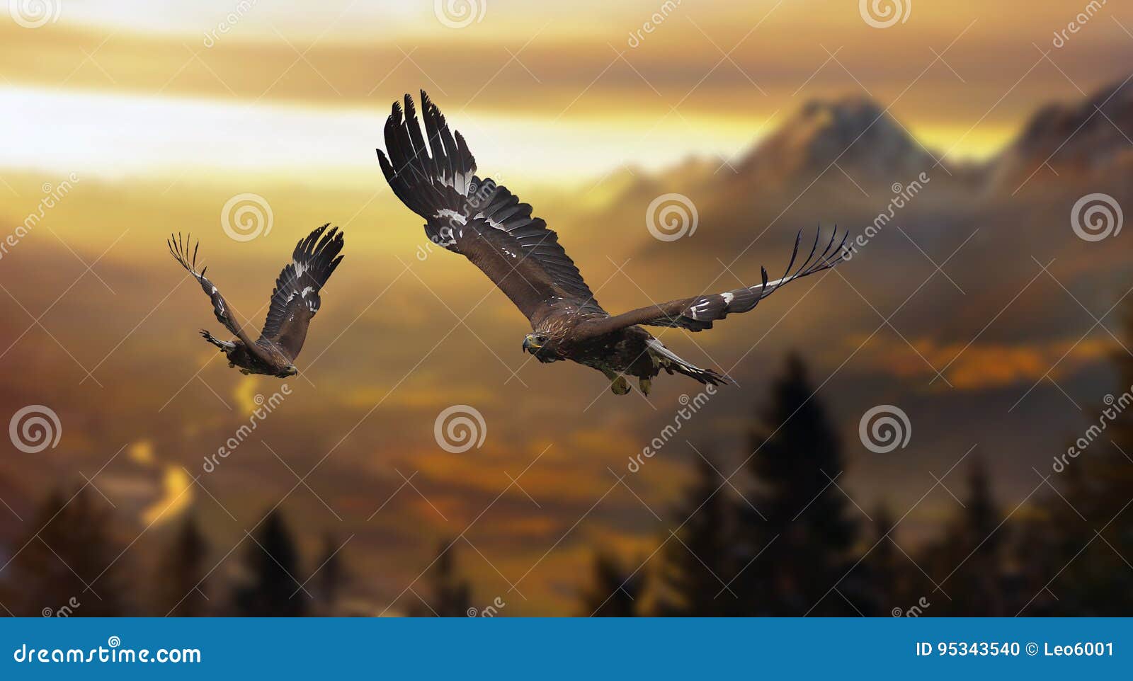 Golden Eagle stock photo. Image of wild, aquila, alps - 95343540