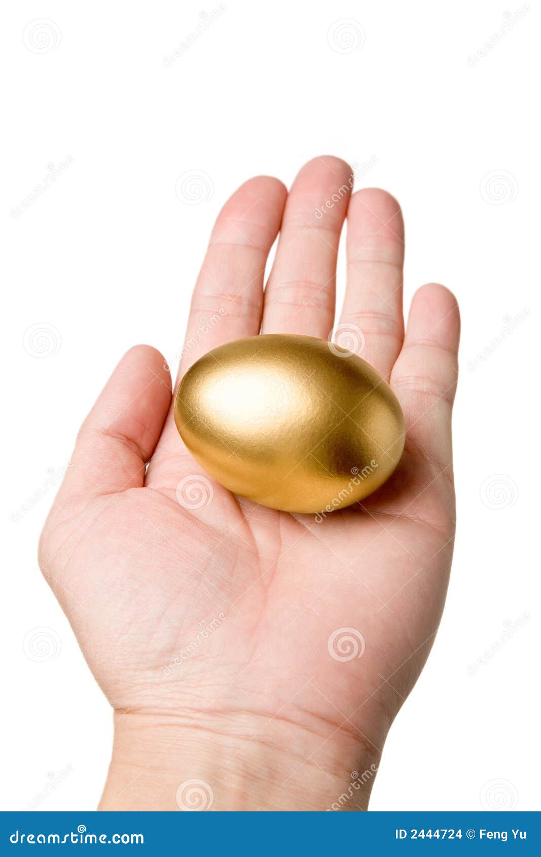 Golden egg stock photo. Image of golden, investment, finance - 2444724