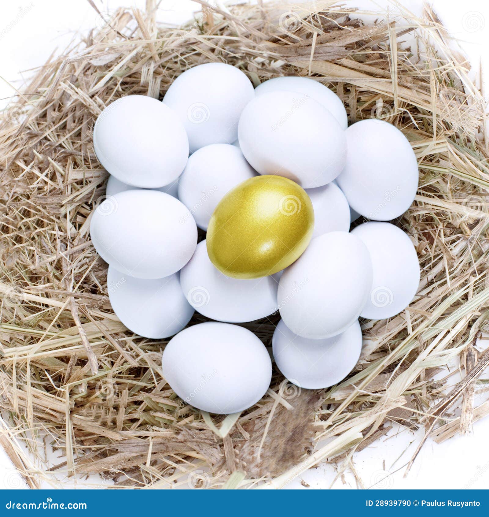 Golden egg in common nest stock photo. Image of animal - 28939790