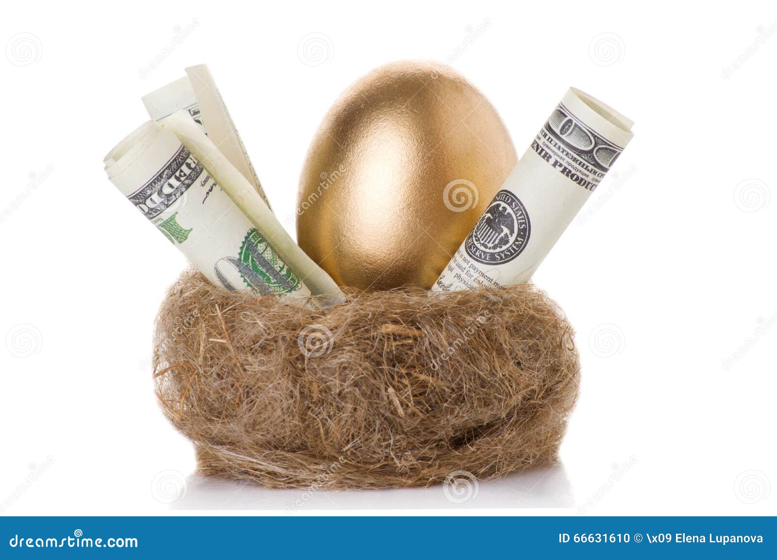 Golden Egg in a Nest with Money Stock Photo - Image of business, life ...