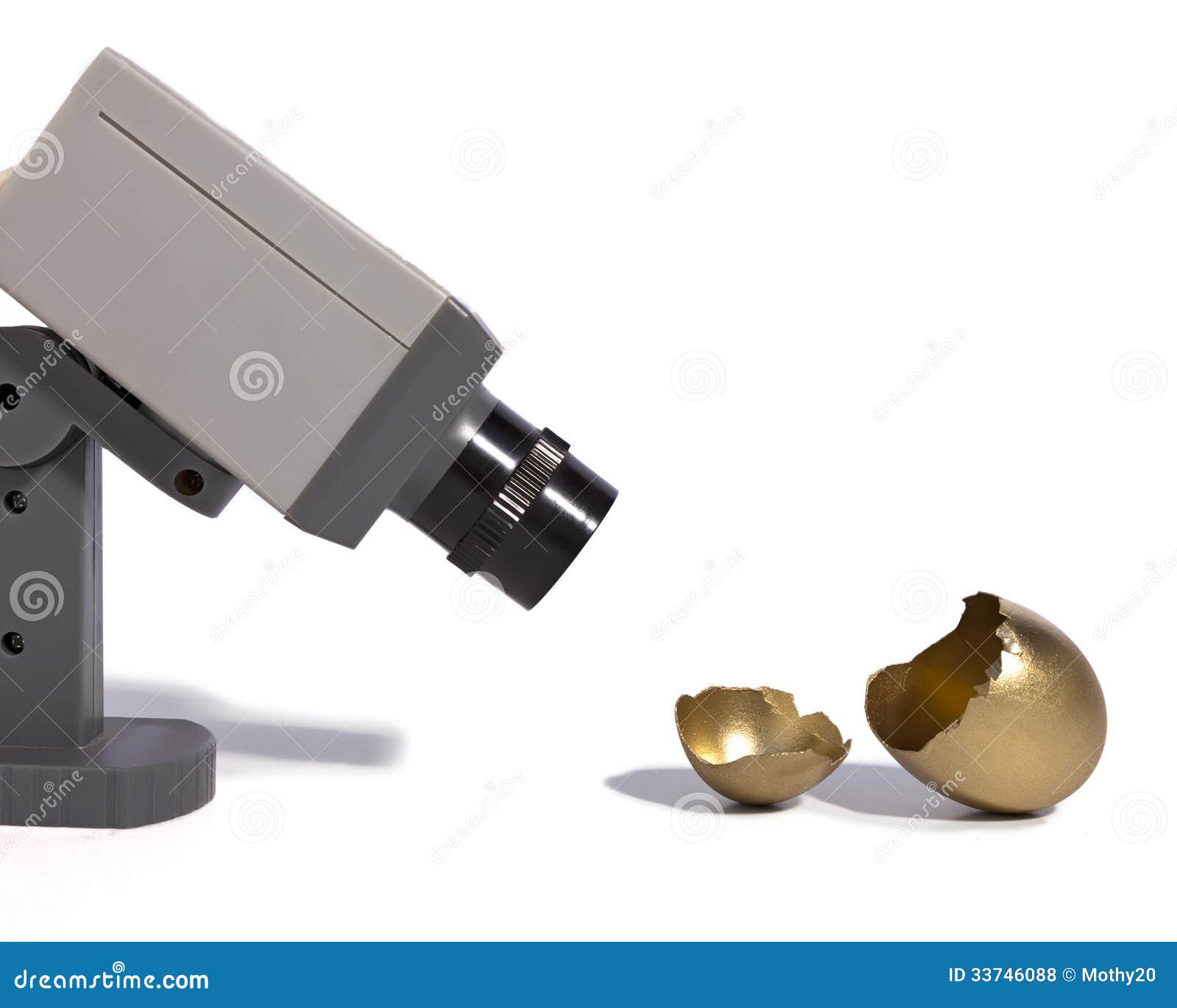 Golden Egg Security stock photo. Image of spotlight, income - 33746088