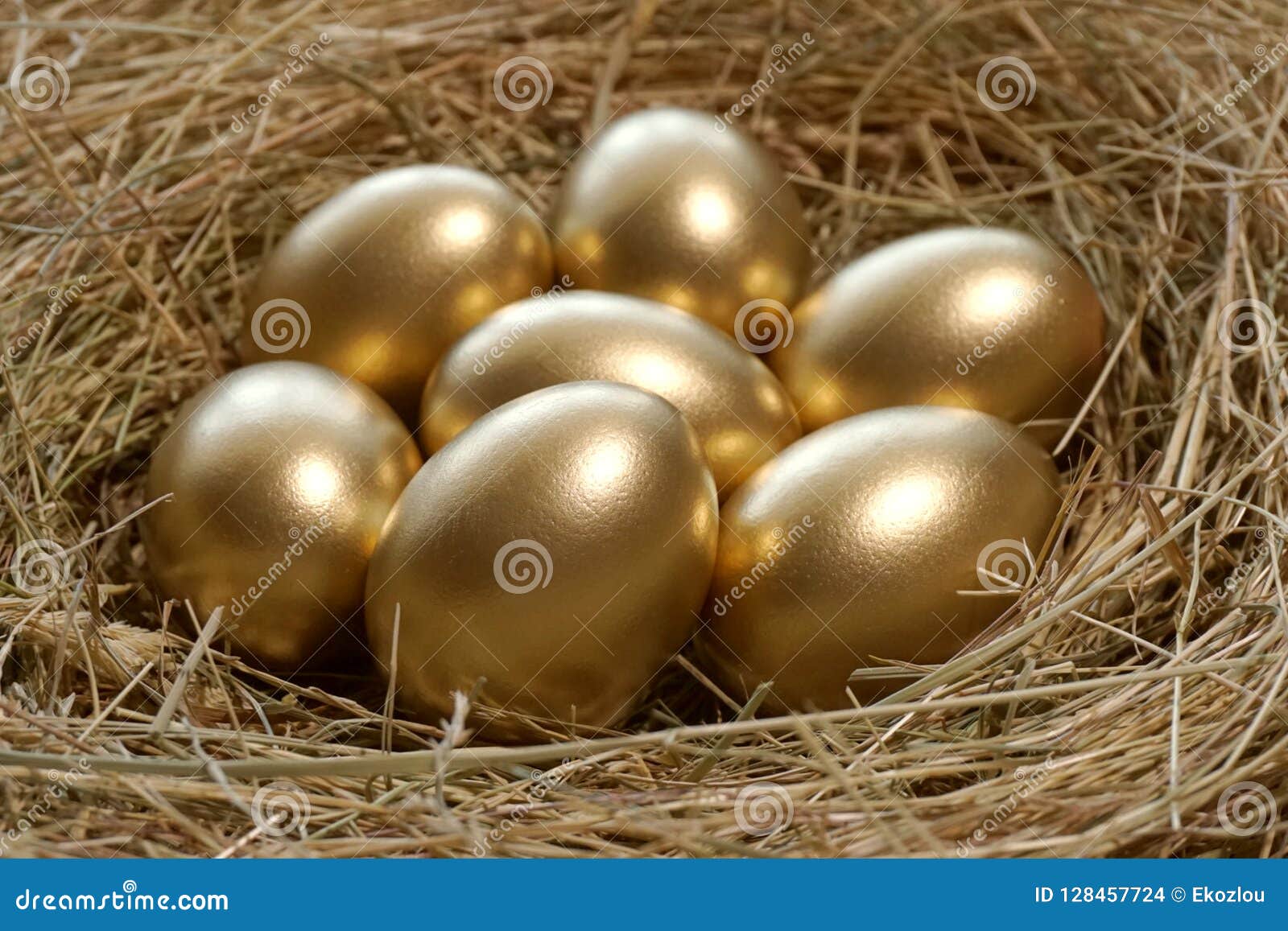 Eggs Of Golden Apple Snail Or Channeled Apple Snail (Pomacea ...