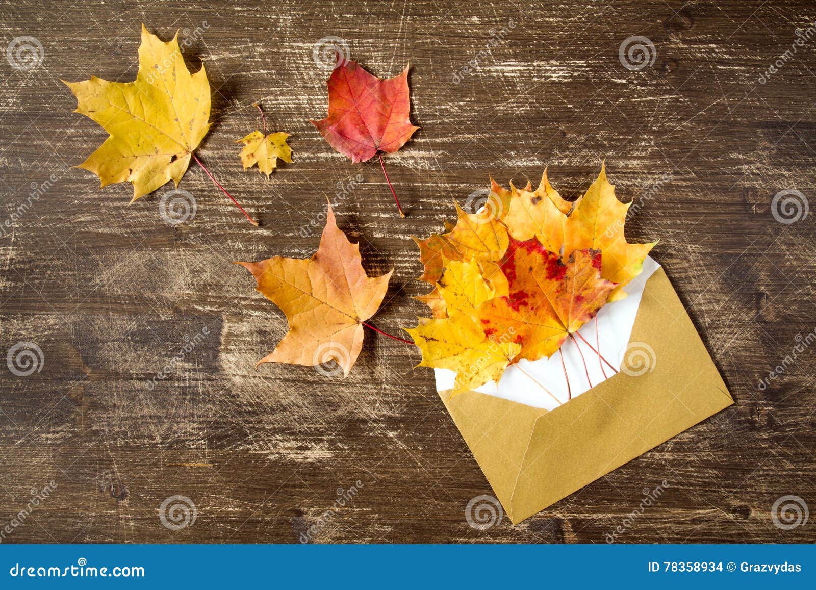 Golden Envelope and Fall Leaves Stock Photo - Image of leaf, concept ...