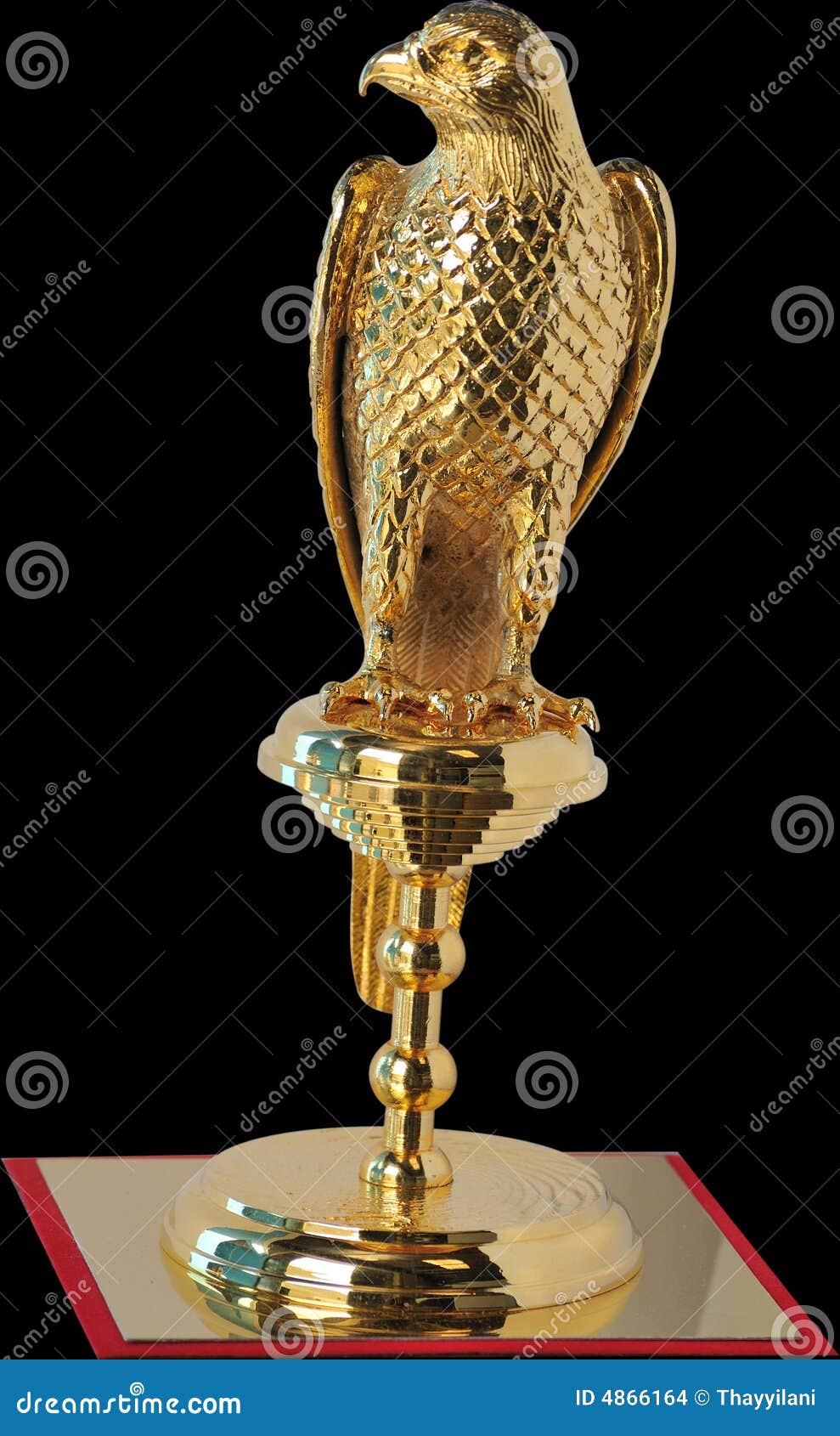 Golden Falcon stock photo. Image of east, conservation - 4866164