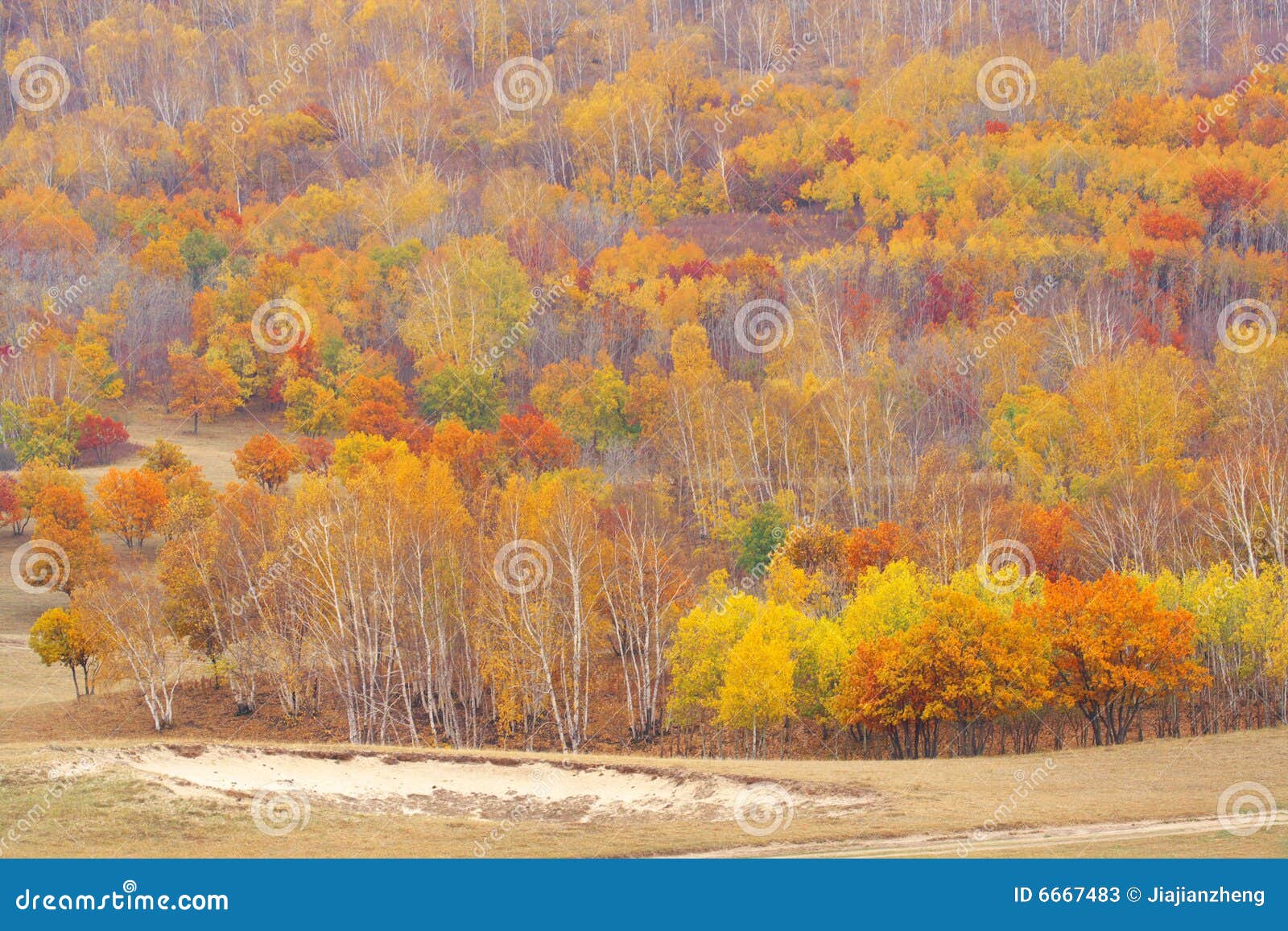 Golden fall stock image. Image of cloud, nice, grassland - 6667483