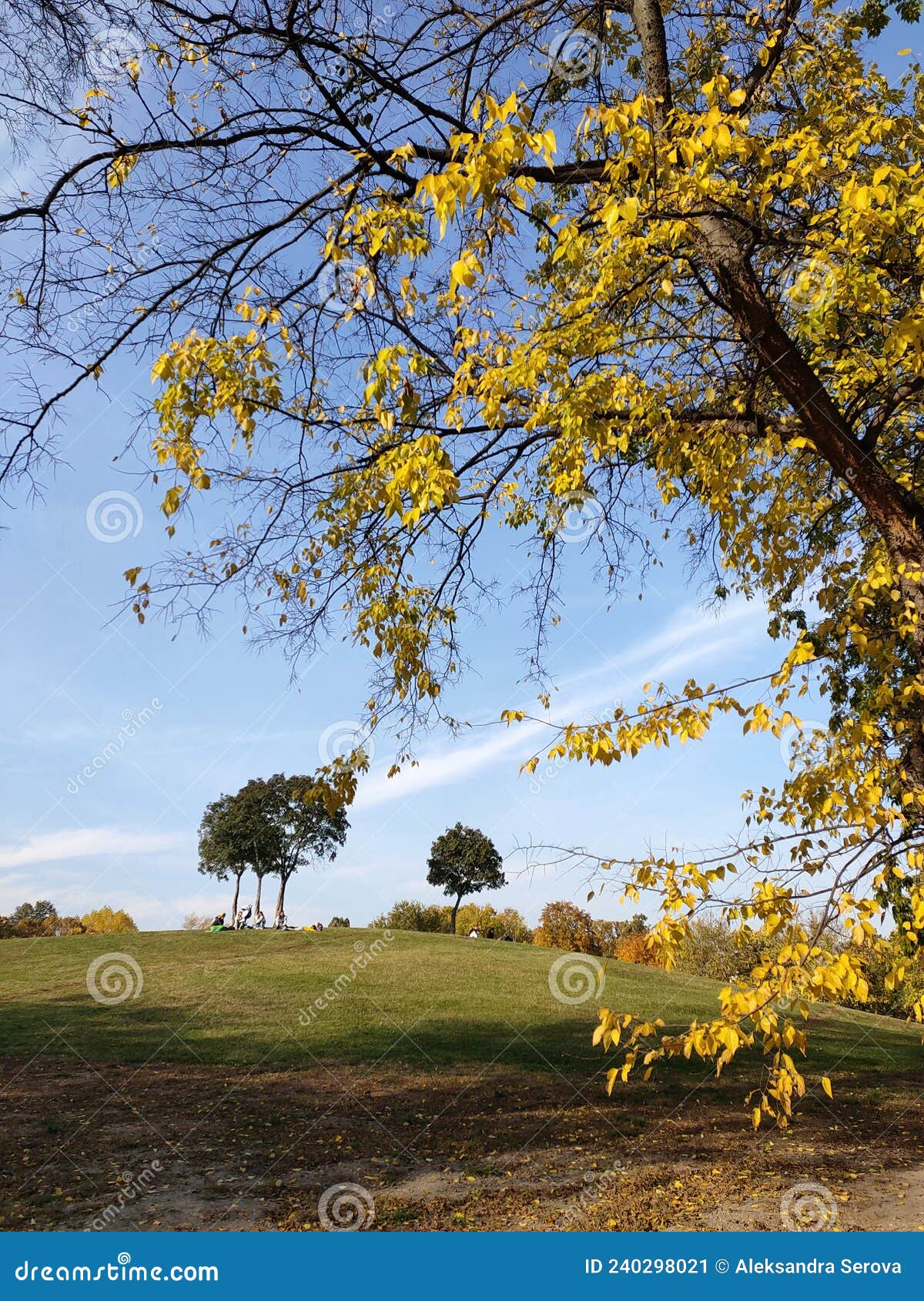 Golden Fall in Budapest, Nice Sunny Weather Stock Image - Image of ...