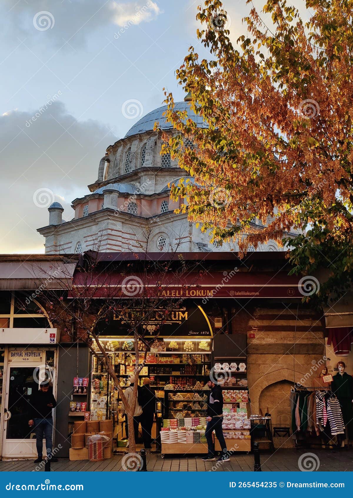 Golden fall in Istanbul editorial image. Image of travel - 265454235