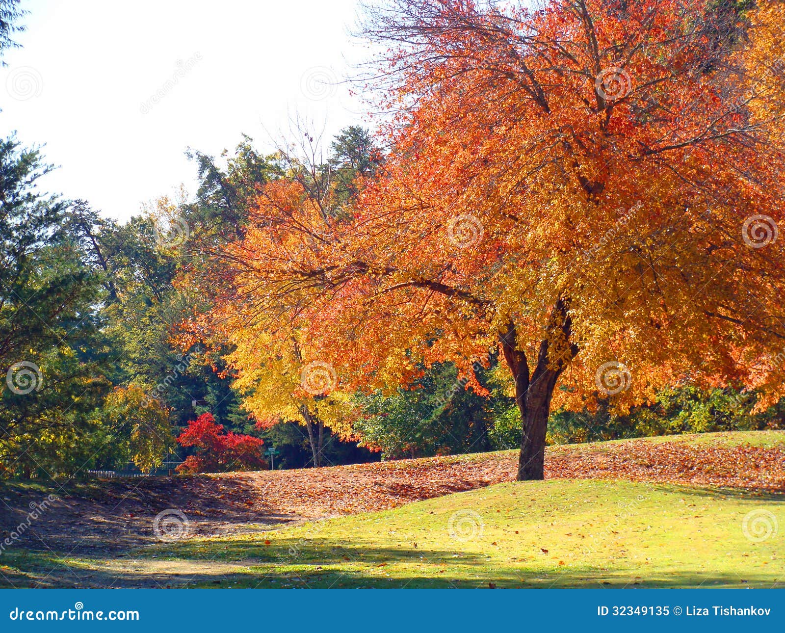 Golden fall landscape stock image. Image of change, highlands - 32349135