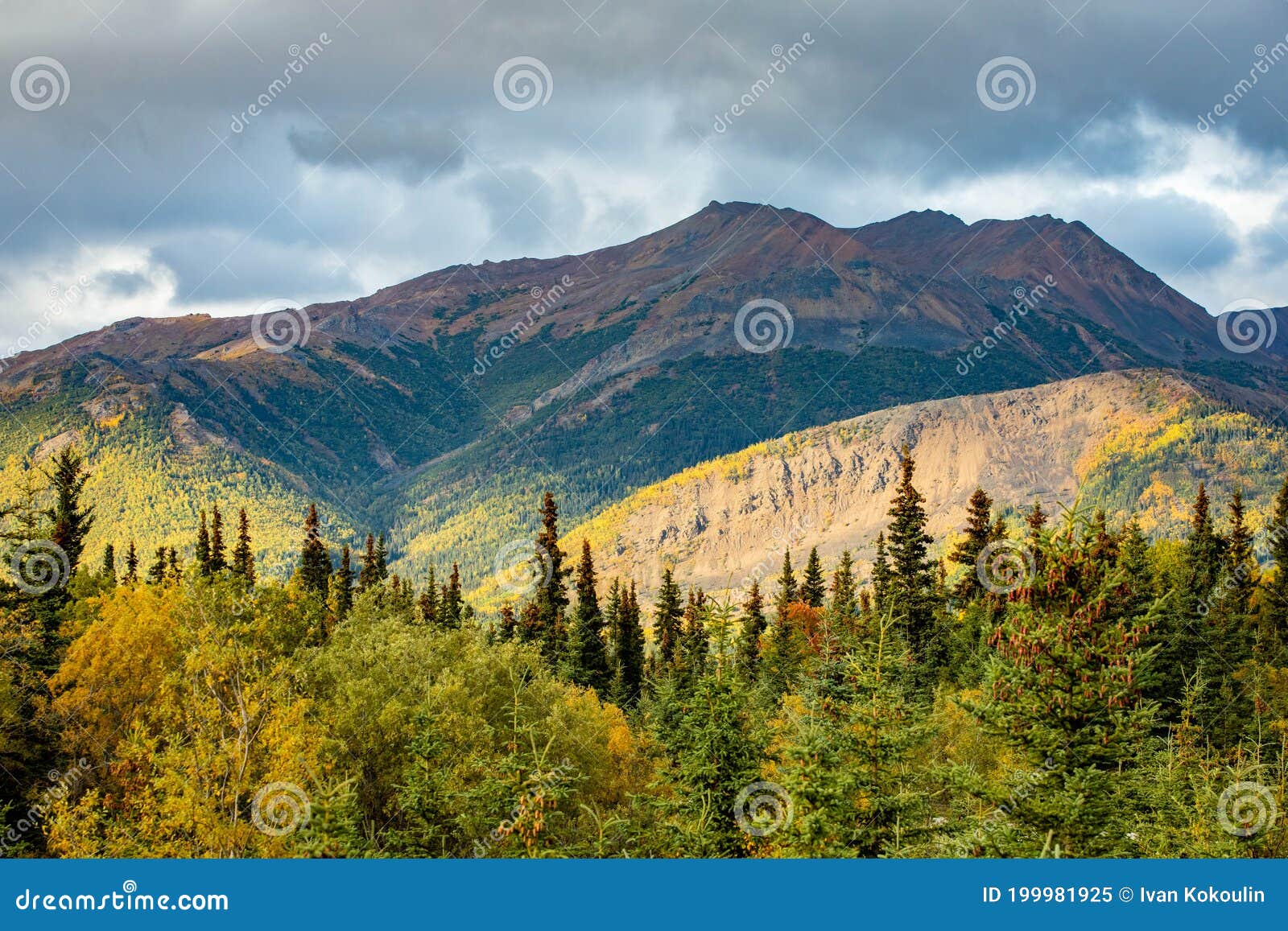 Golden Fall Scenic View of Denali National Park at Sunset Stock Image ...