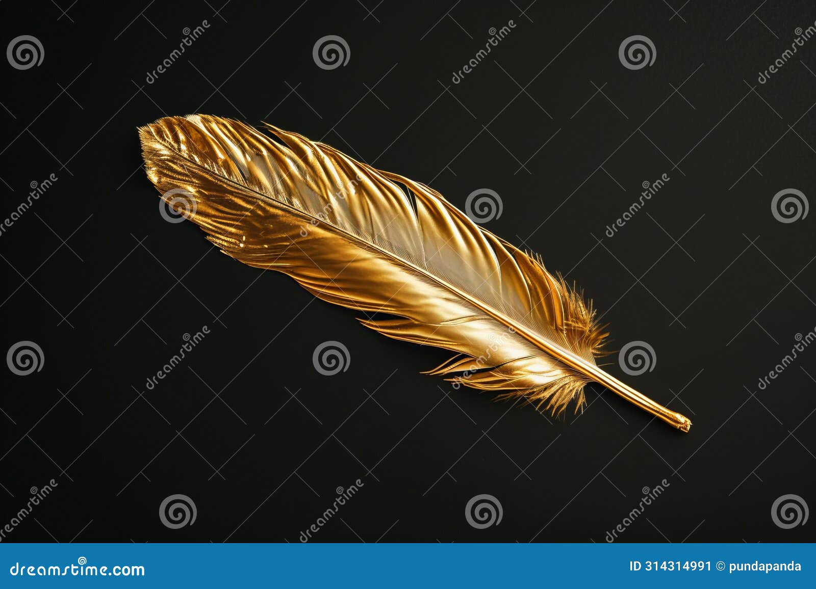 Golden Feather on Black Background, Old Exquisite Golden Feather Stock ...