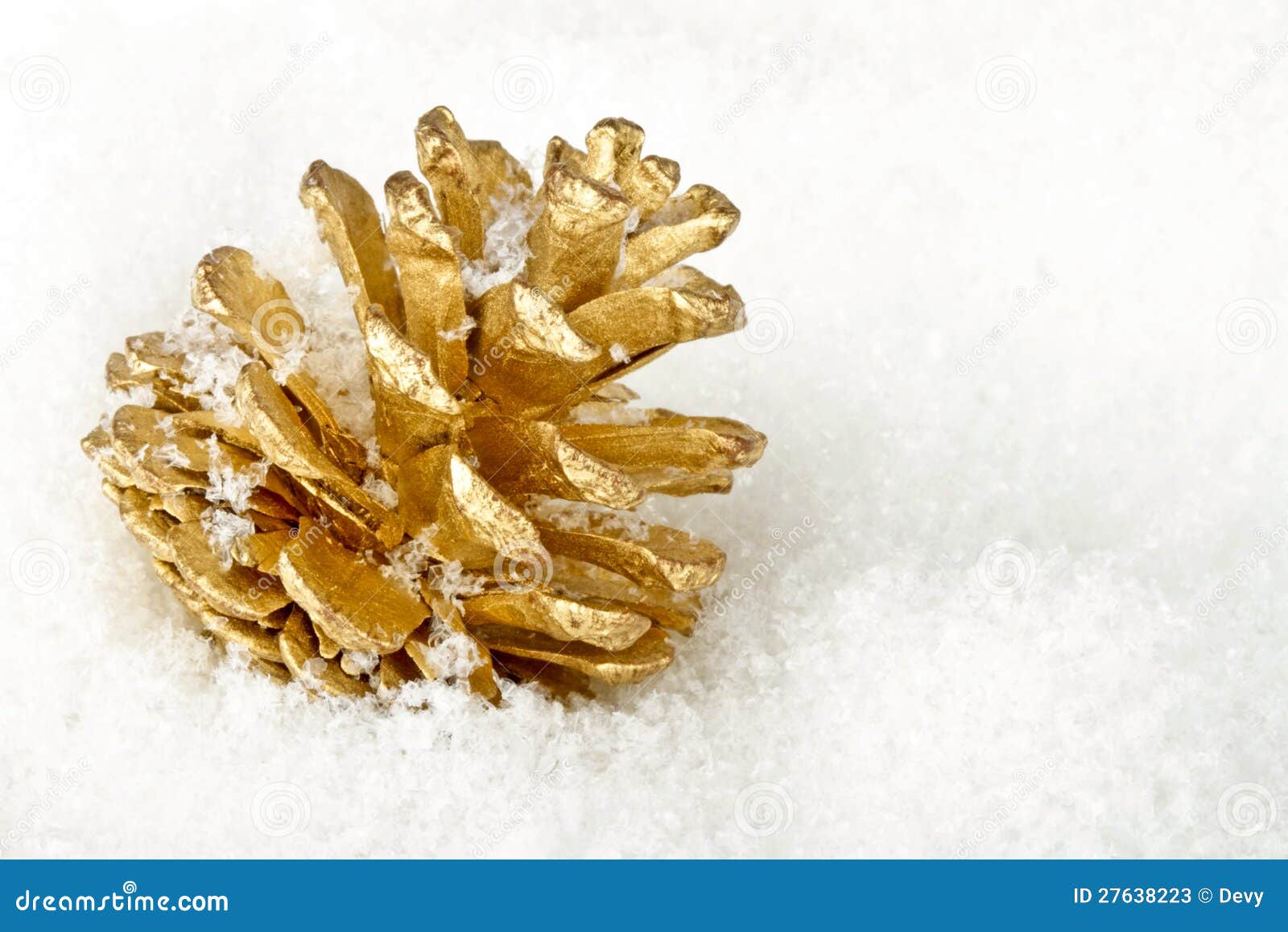 Golden fir apple stock image. Image of pine, brown, decoration - 27638223