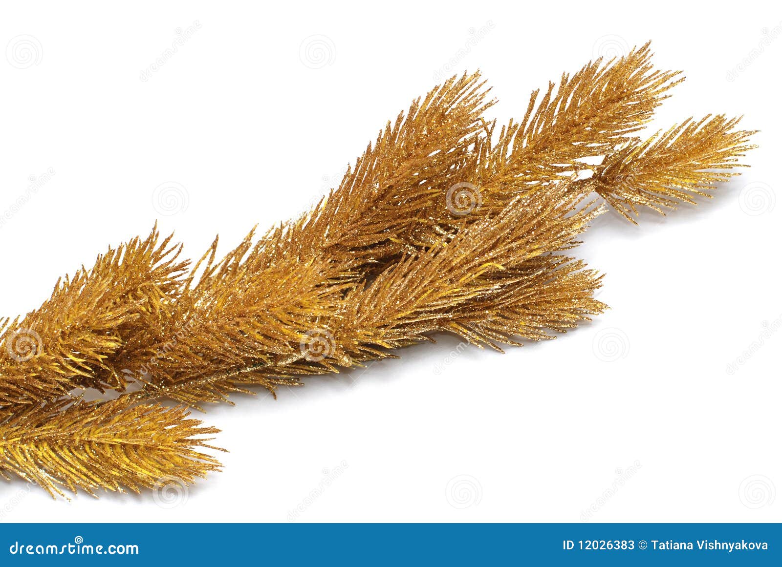 Golden fir tree stock image. Image of diagonal, winter - 12026383