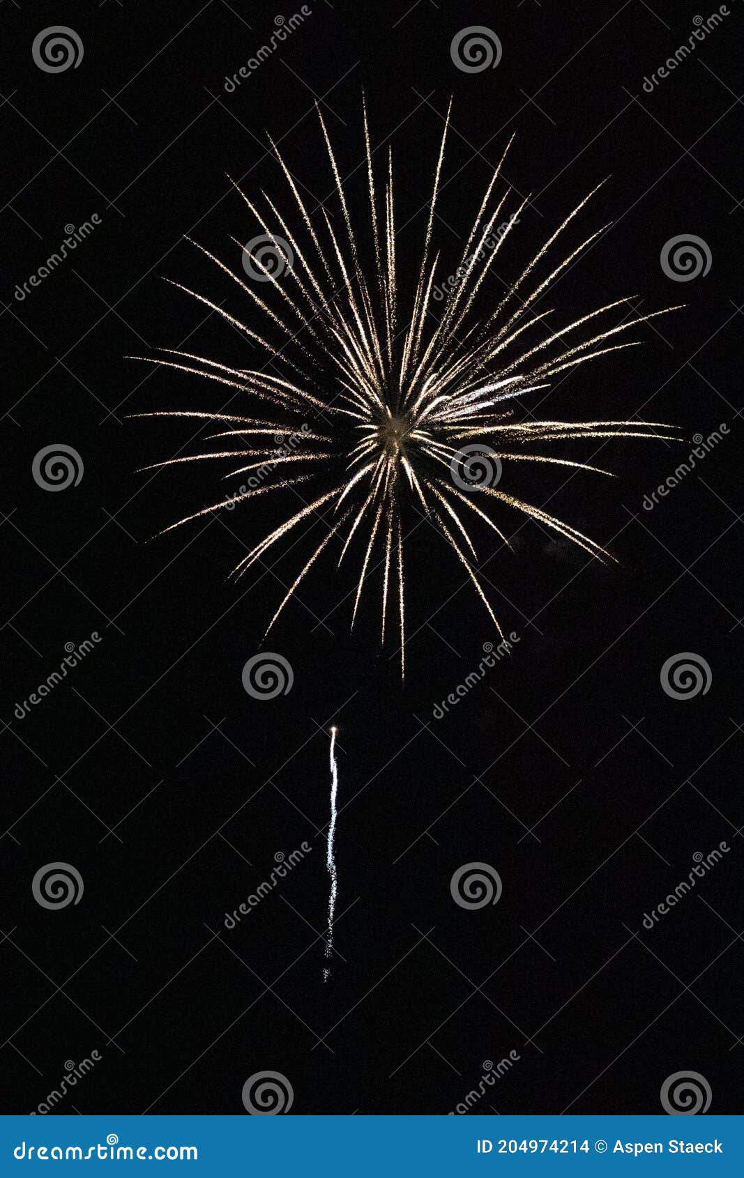 Golden Firework Burst with a Long Tail Stock Photo - Image of color ...