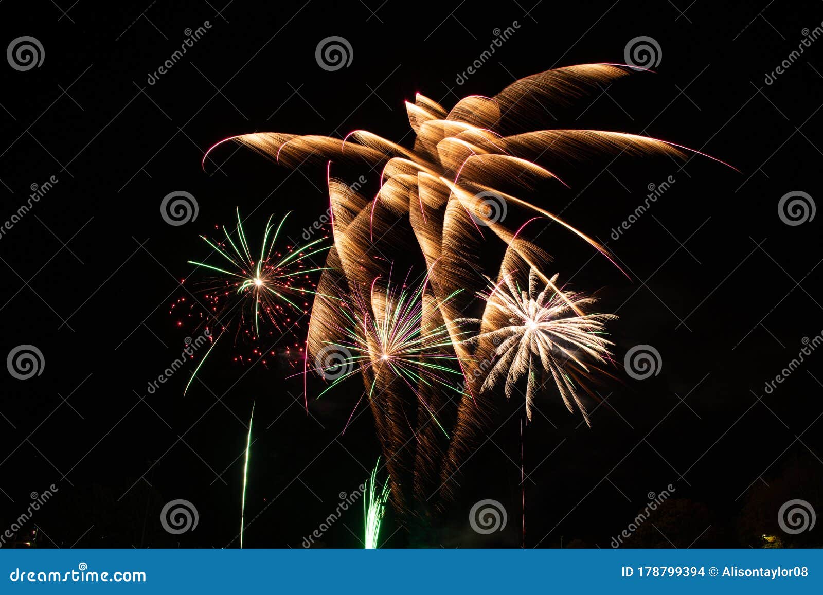 Golden Fireworks Creating a Palm Tree Shape in the Night Sky Stock ...