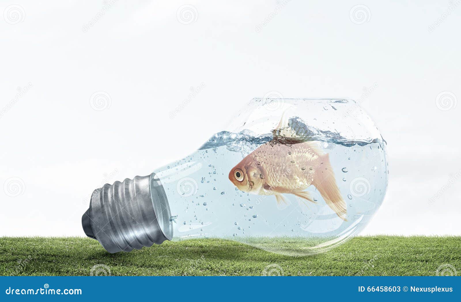 Golden fish in bulb stock image. Image of lightbulb, innovation - 66458603