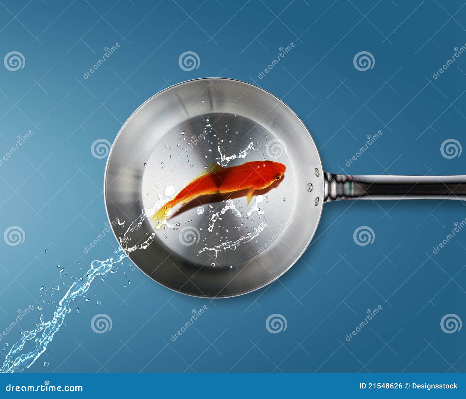 Golden Fish Jumping To Frying Pan Stock Photo - Image of challenge ...