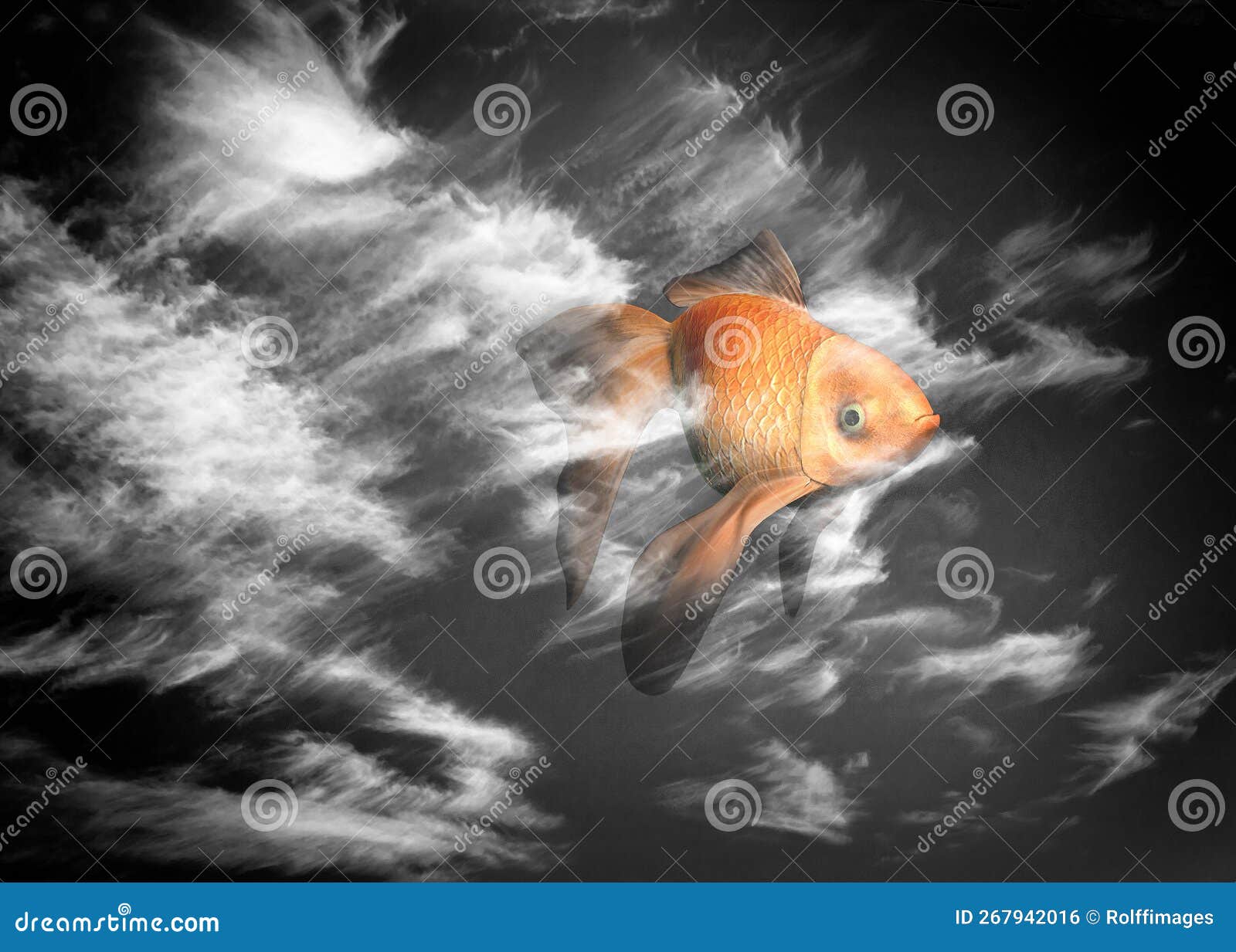 Golden fish in the sky stock photo. Image of imagination - 267942016