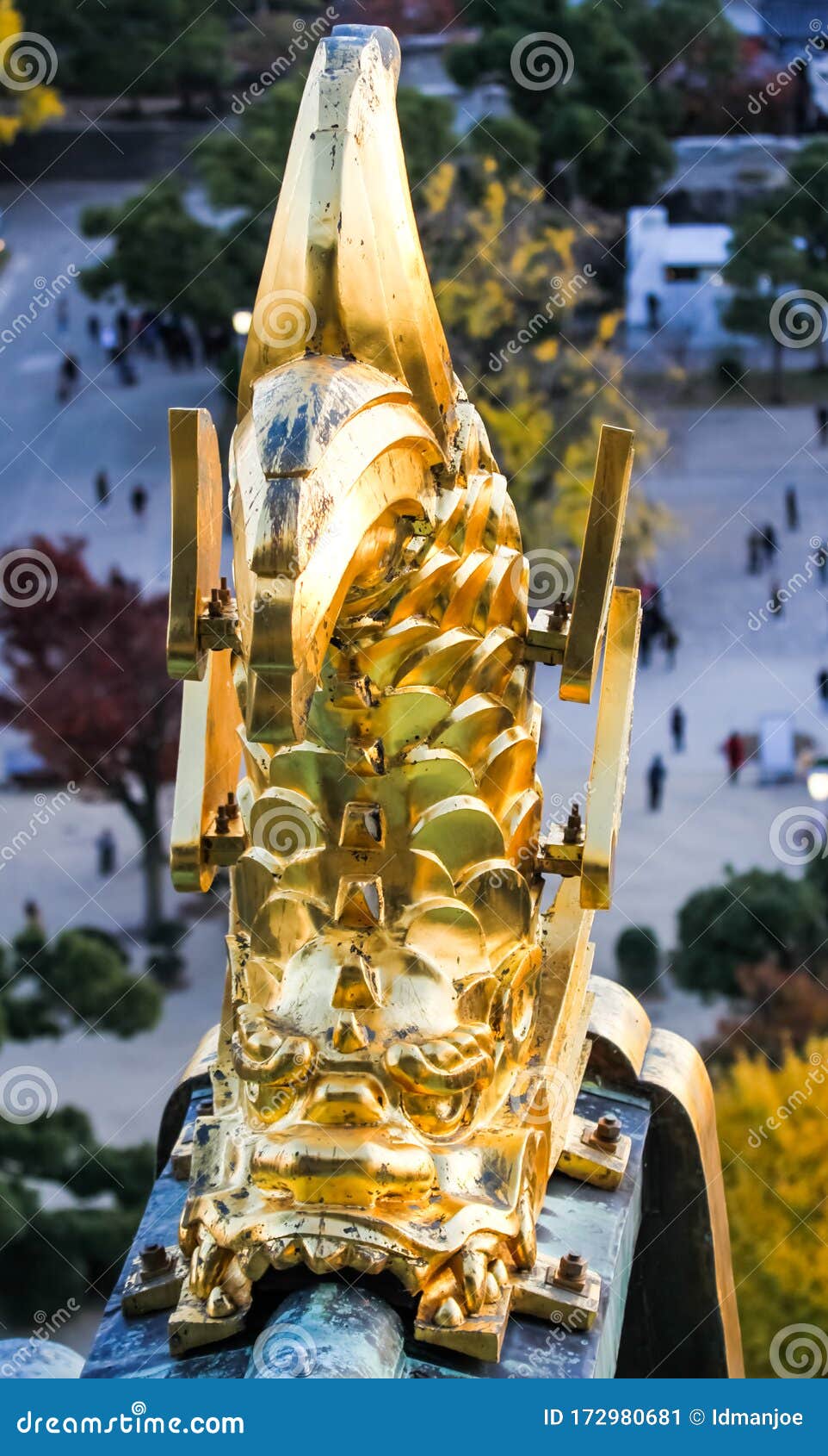 Golden fish stock image. Image of park, castle, japan - 172980681