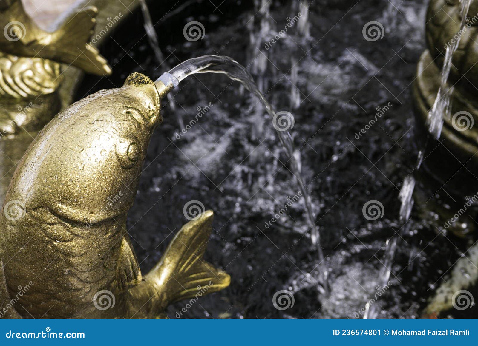 A Golden Fish Statue of Water Fountain Stock Image - Image of classic ...