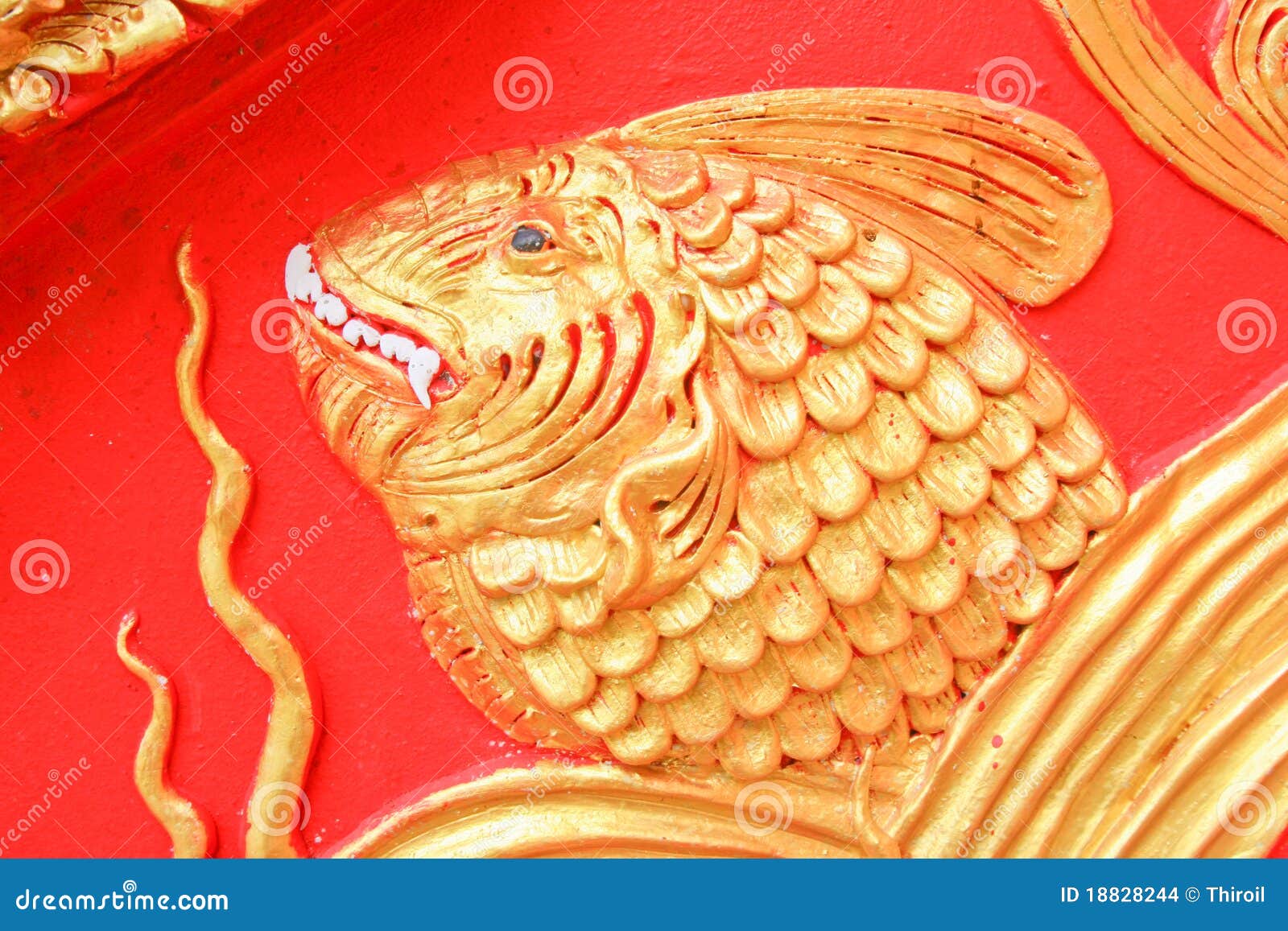 The Golden Fish on the Wall. Stock Photo - Image of animal, dragon ...