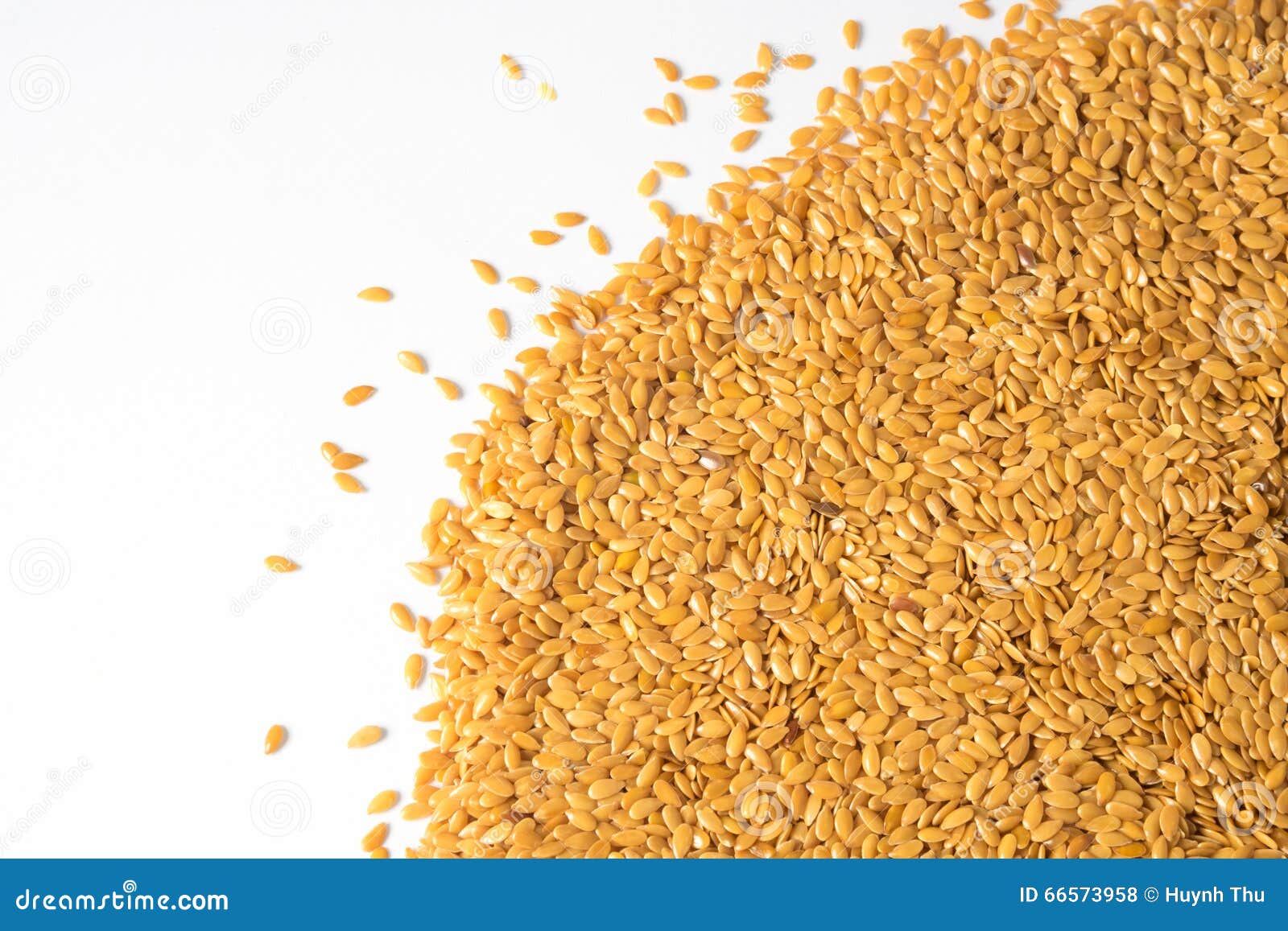 Golden Flax Seed or Linseed Stock Photo - Image of background, flax ...