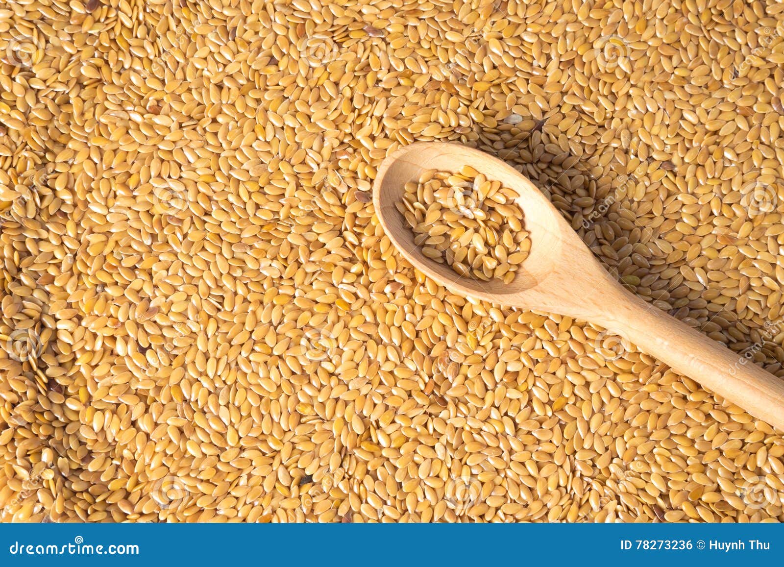 Golden Flax Seed or Linseed Stock Photo - Image of grain, cereal: 78273236