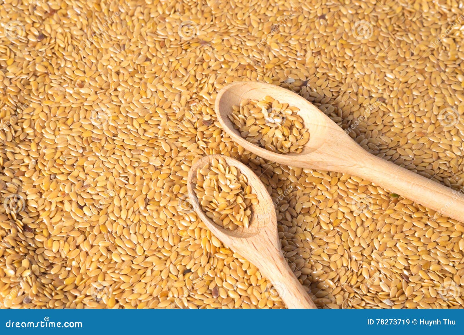 Golden Flax Seed or Linseed Stock Image - Image of ingredient, linseed ...