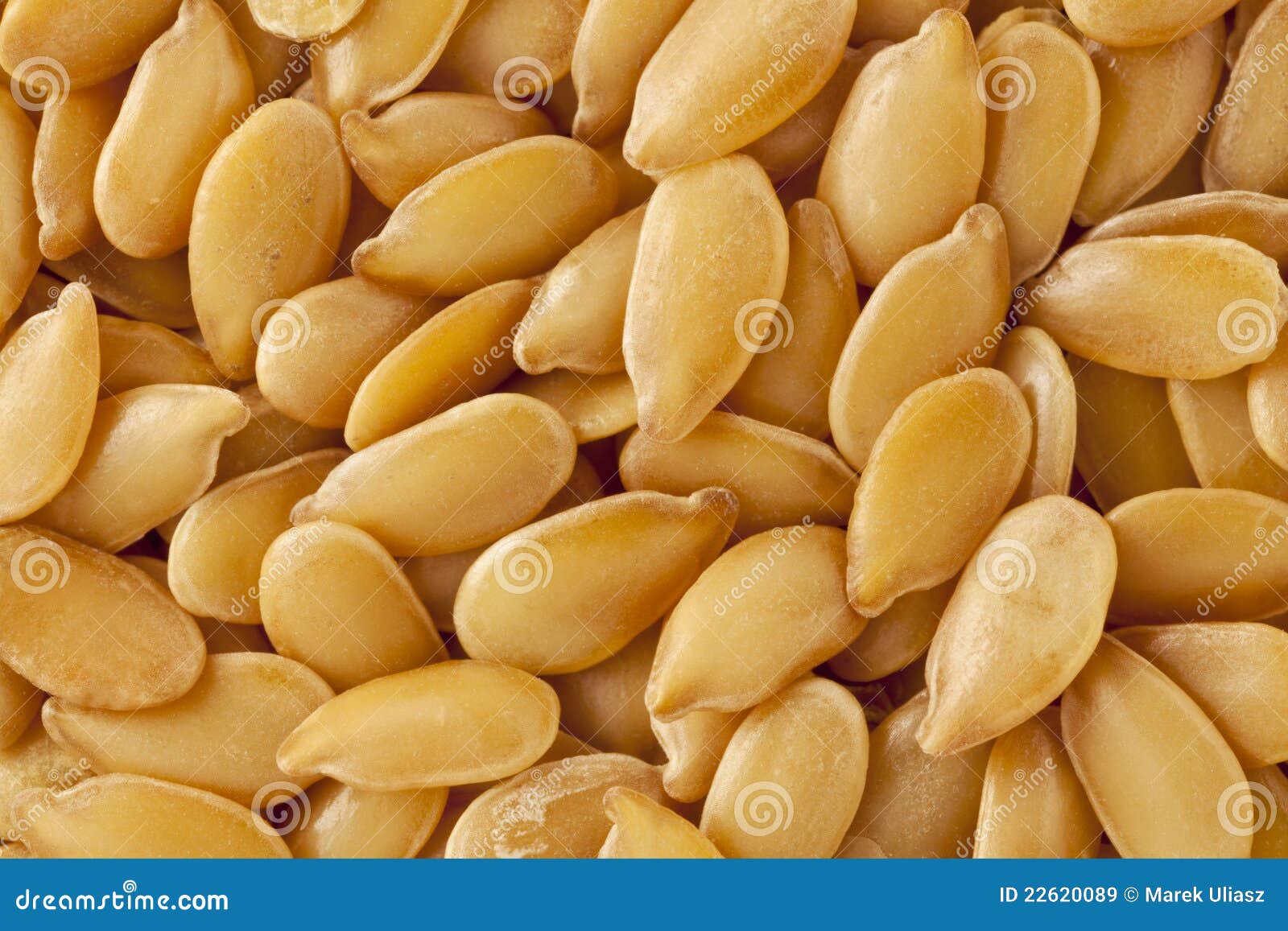 Golden flax seeds stock image. Image of magnification - 22620089