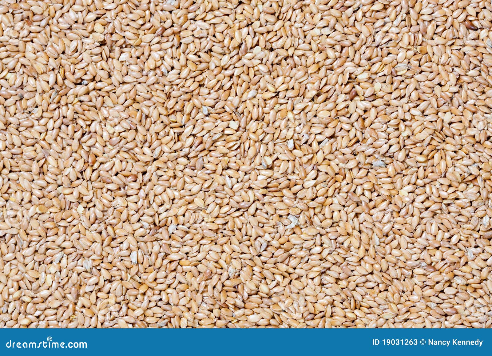 Golden Flaxseed stock image. Image of flaxseed, linseed - 19031263