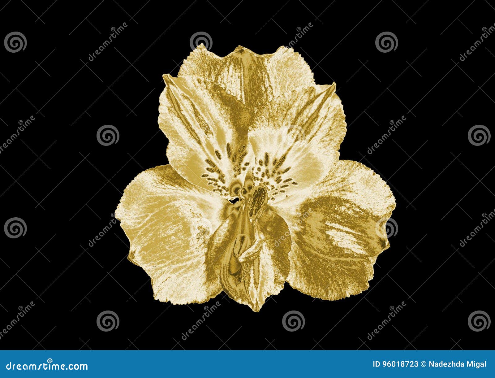 Golden flower stock image. Image of bouquet, jewelry - 96018723