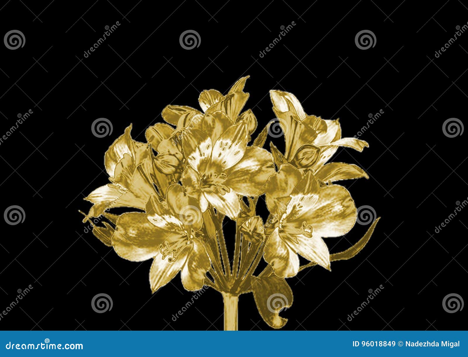 Golden flower stock image. Image of beauty, white, black - 96018849