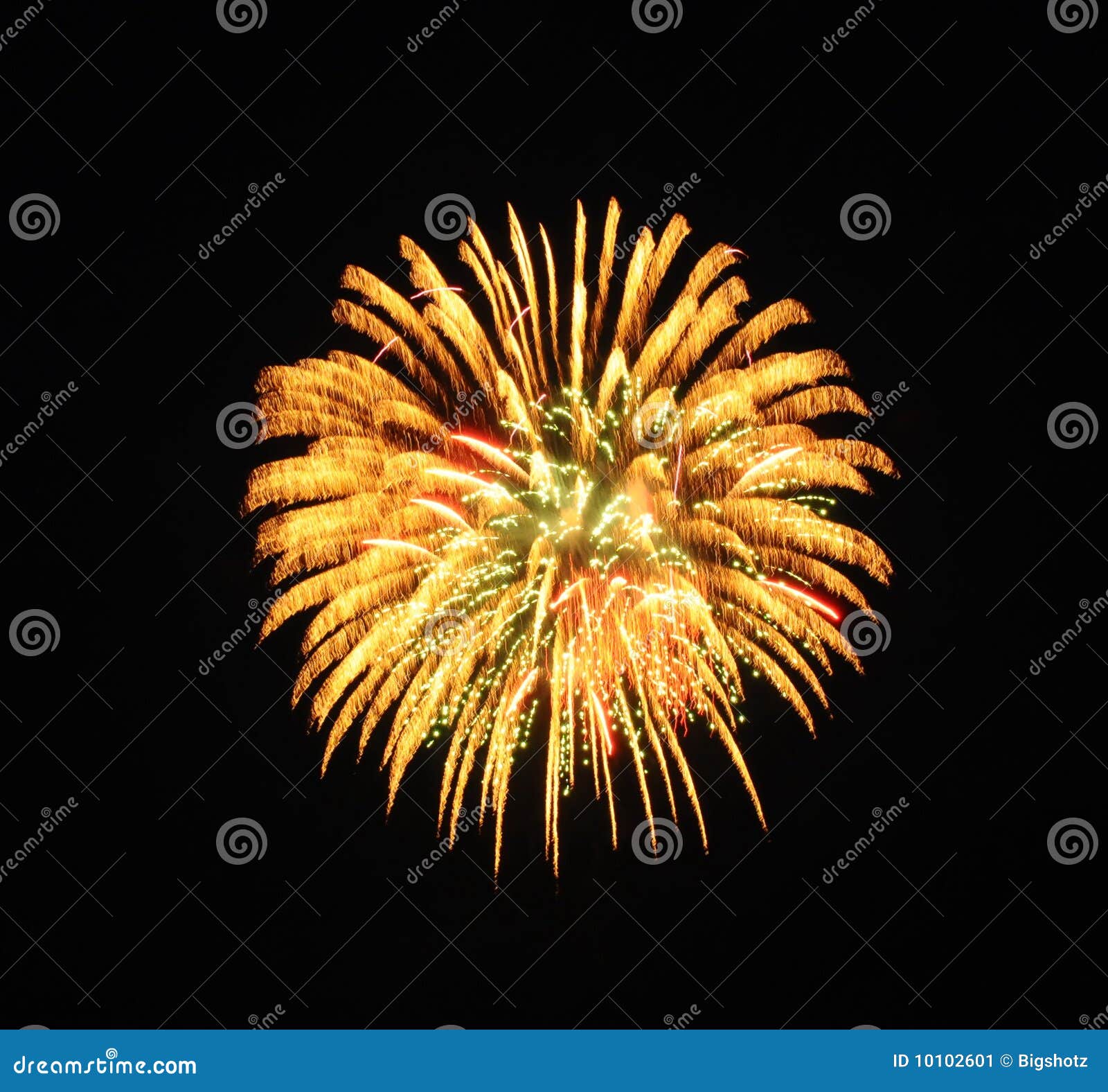 Golden Flower Fireworks stock image. Image of display - 10102601