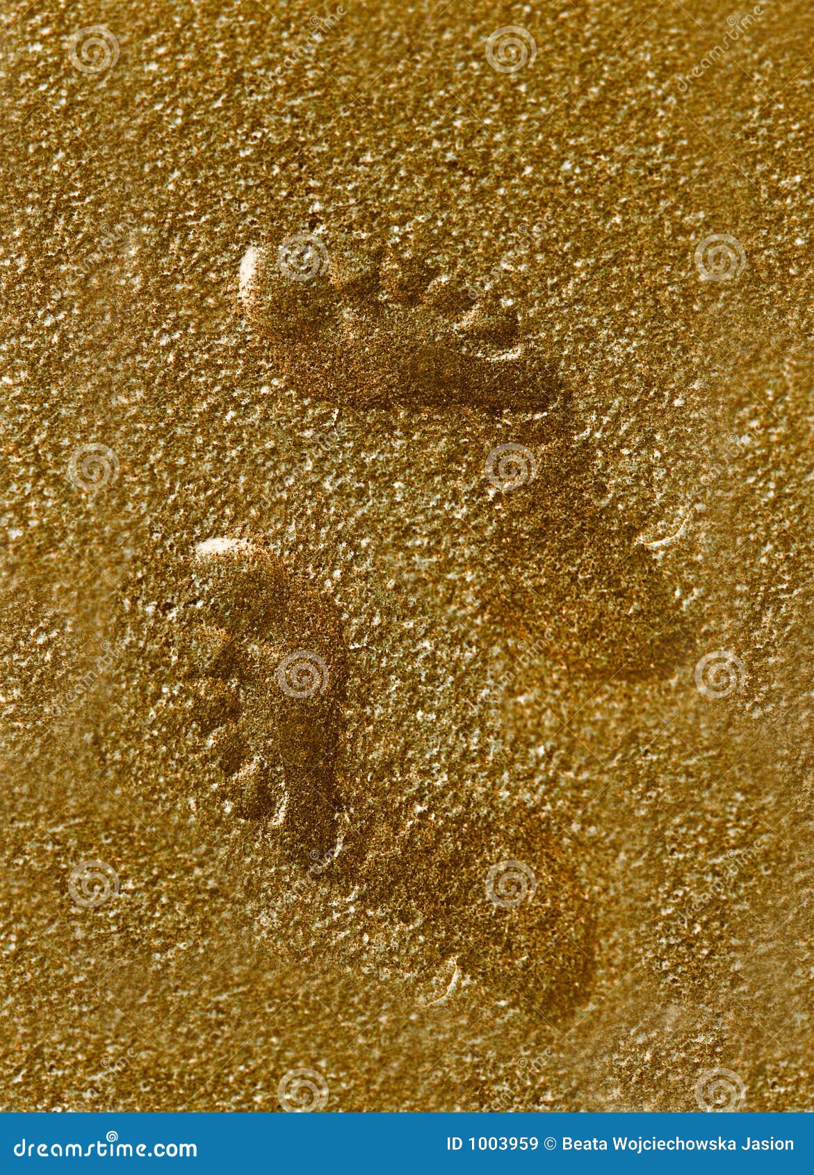 3,386 Golden Footprints Photos - Free & Royalty-Free Stock Photos from ...