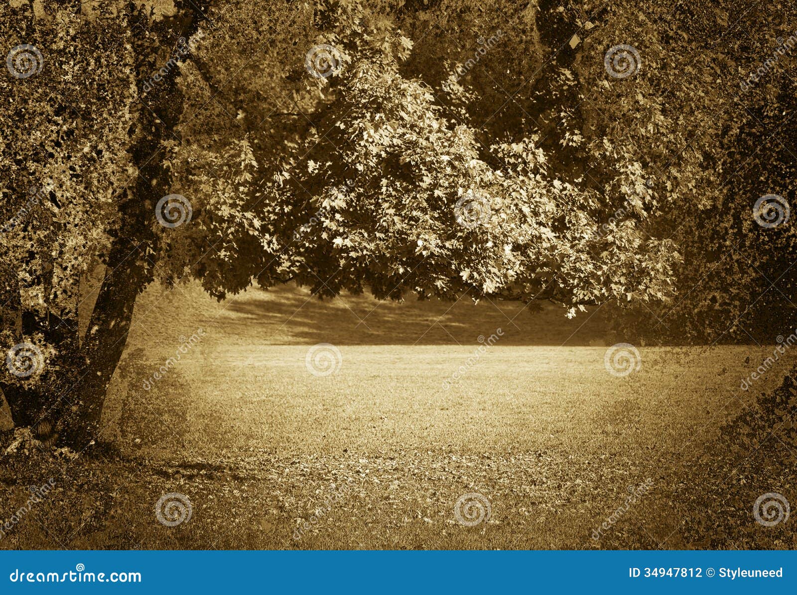 Golden sepia tone forest stock photo. Image of sepia - 34947812