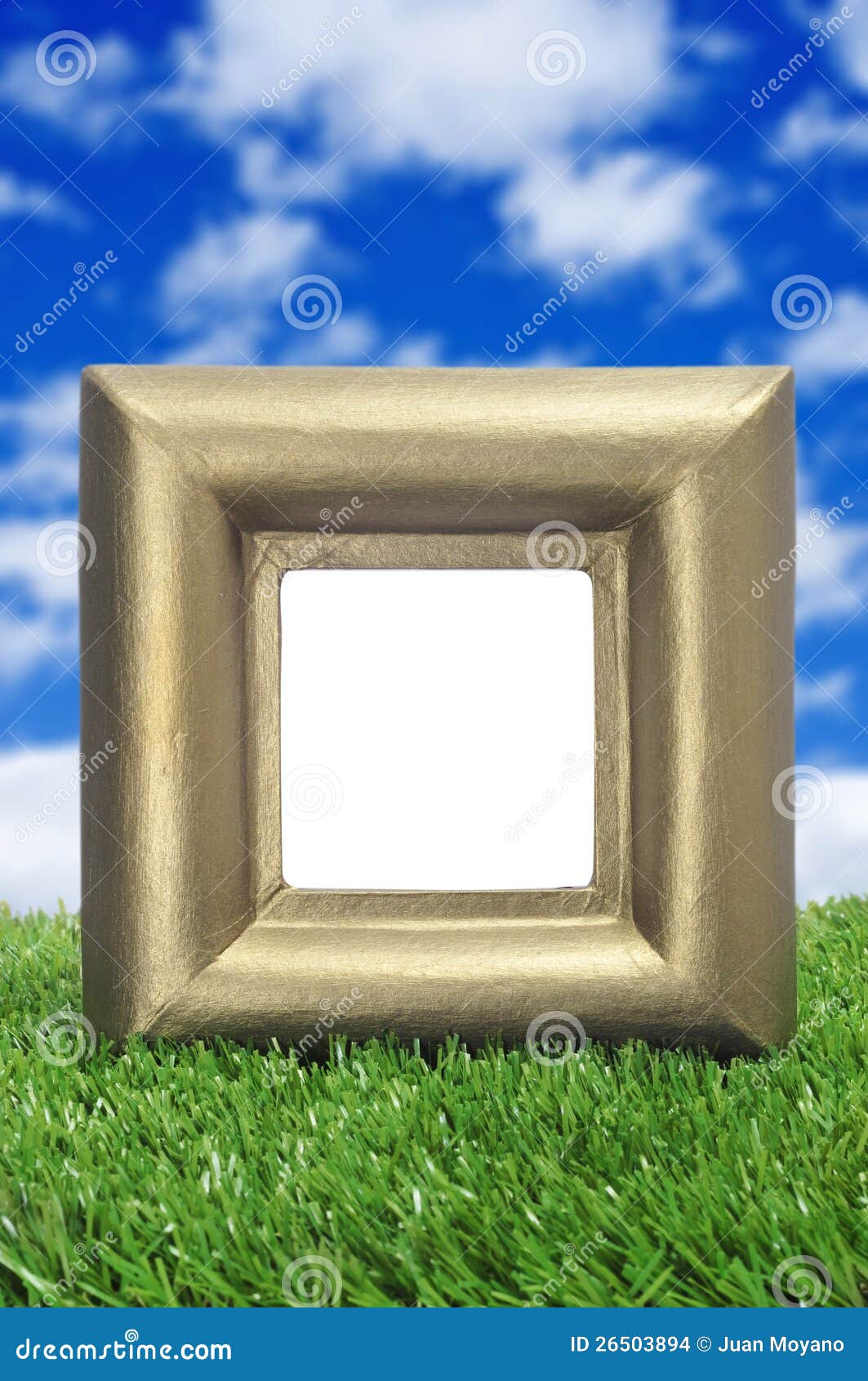 Golden frame on the grass stock photo. Image of background - 26503894