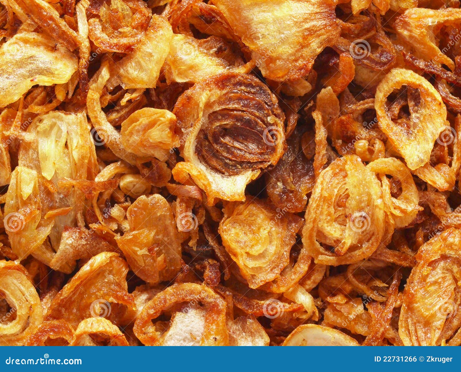 Golden fried shallots stock photo. Image of background - 22731266