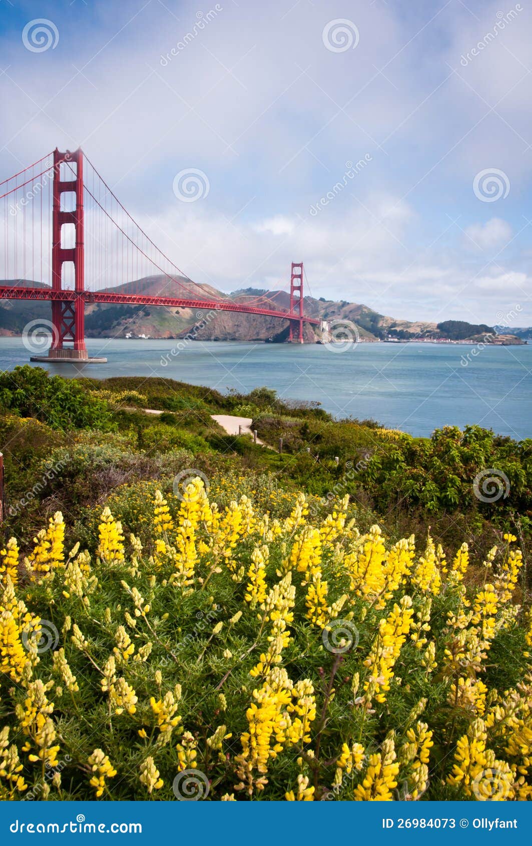 Golden Gate Bridge stock image. Image of cityscape, nature - 26984073
