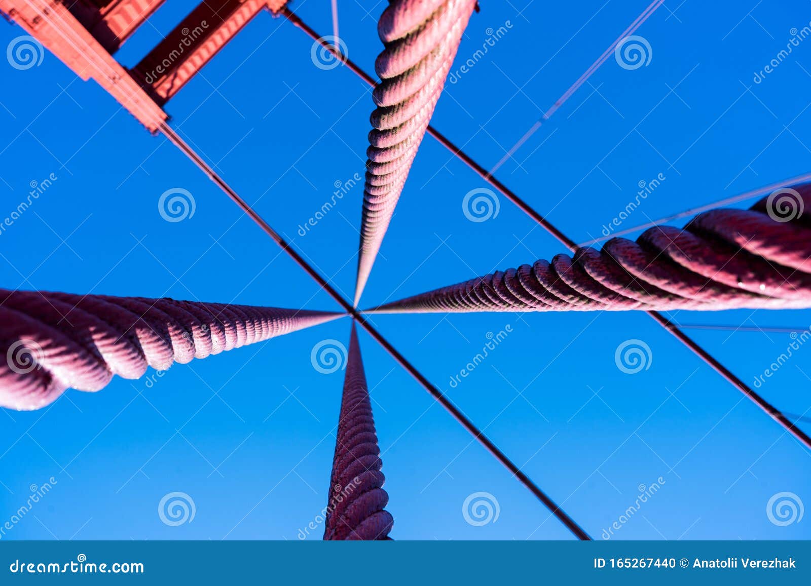 Golden Gate Bridge Ropes stock photo. Image of orange - 165267440
