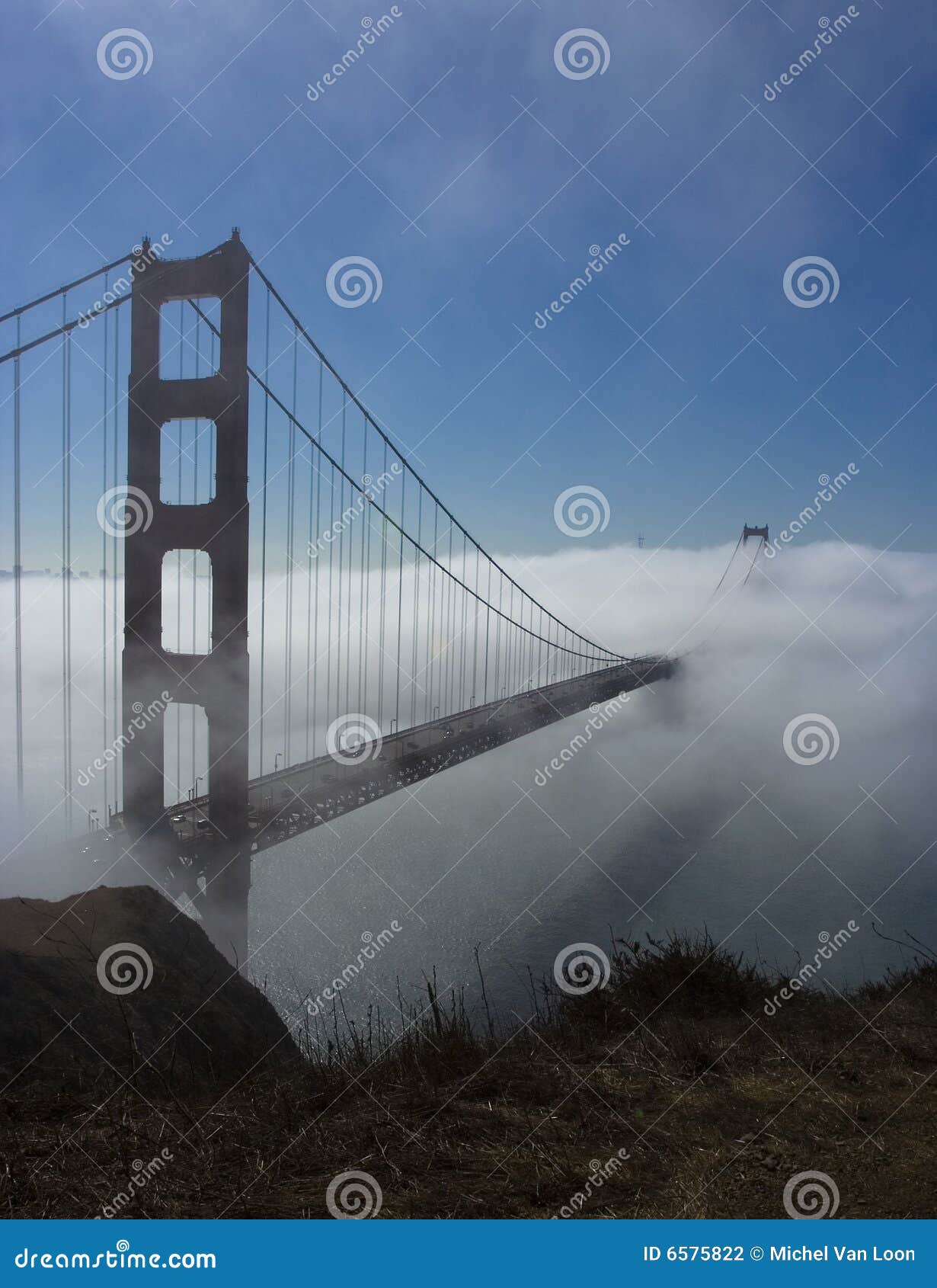 Golden gate in the fog stock photo. Image of cloud, golden - 6575822