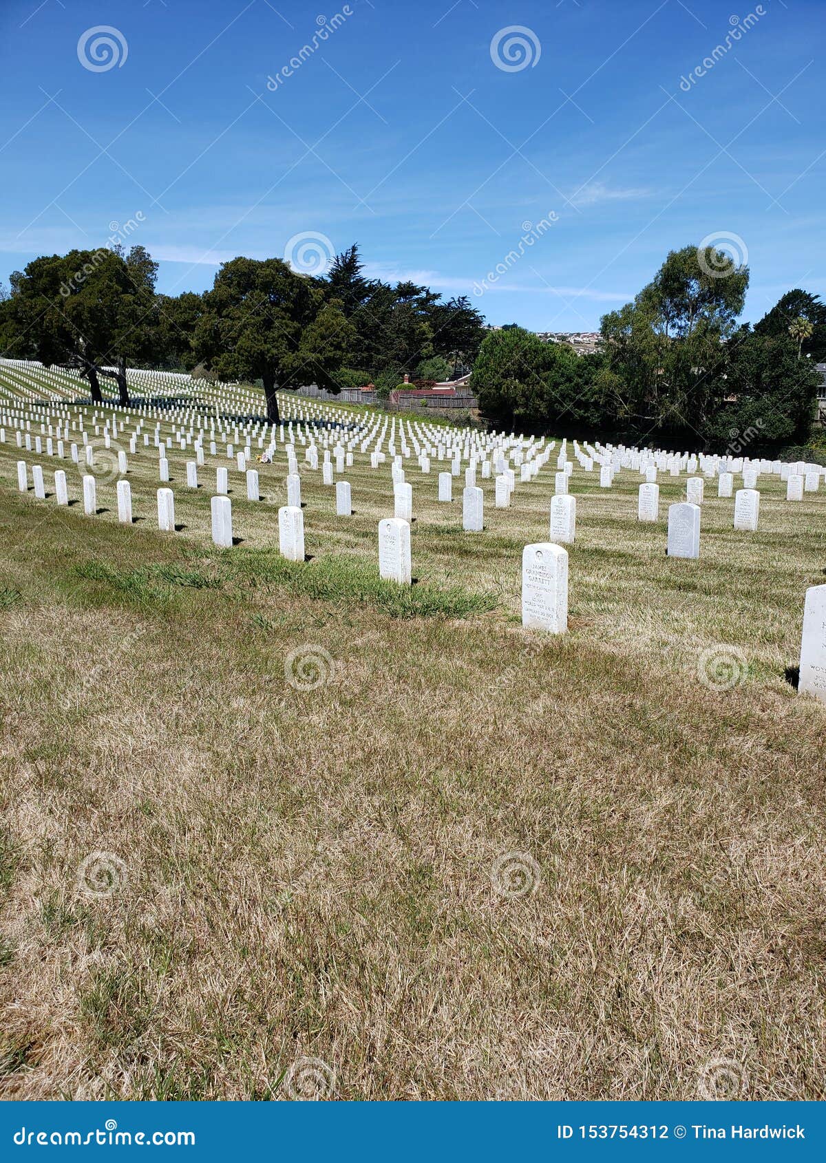 Golden Gate National Cemetery Editorial Photography - Image of golden ...