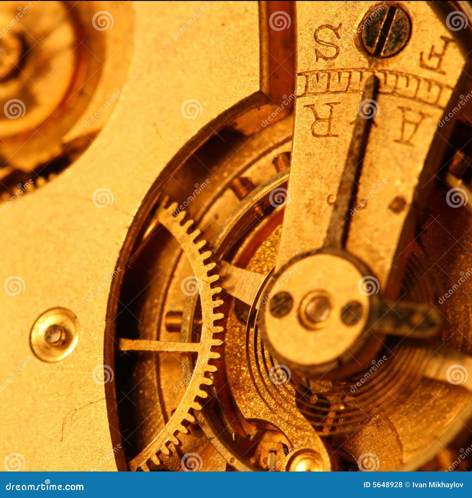 Golden gear stock photo. Image of closeup, jeweller, bite - 5648928