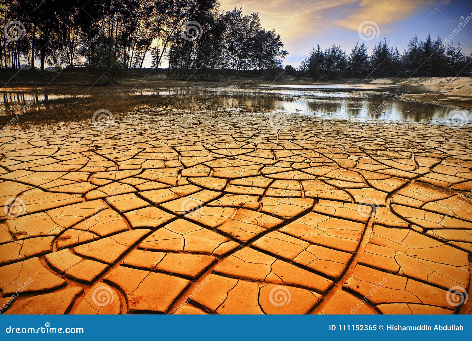 Golden Ground Texture in Beach Stock Image - Image of rock, perhentian ...