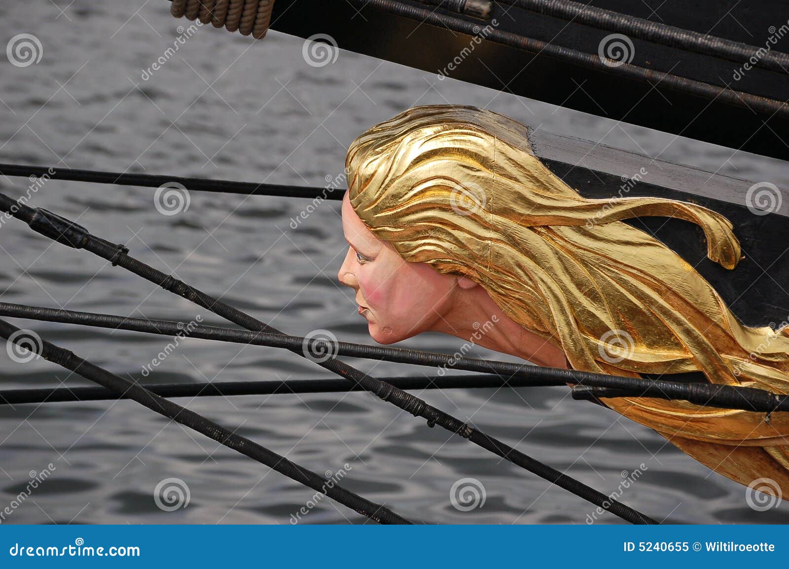 Golden hairs figurehead stock image. Image of activity - 5240655