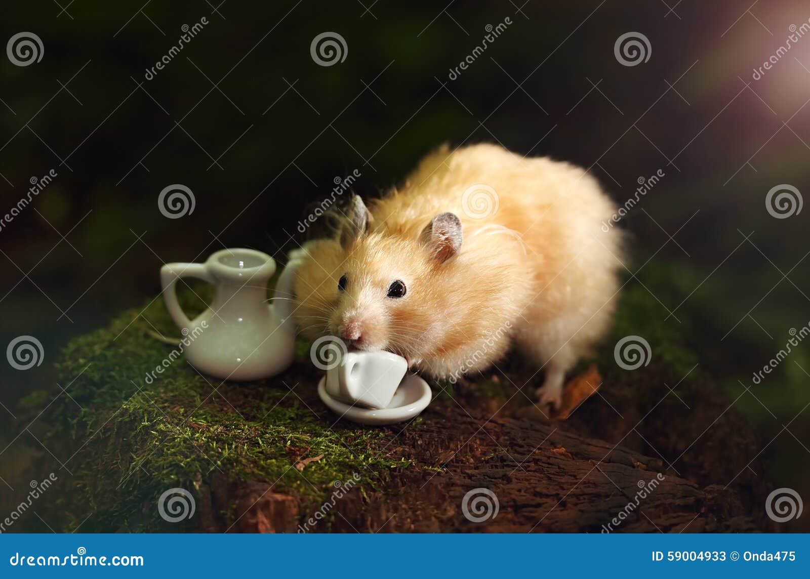 Golden Hamster is Drinking Coffee in the Morning in the Forest. Stock ...