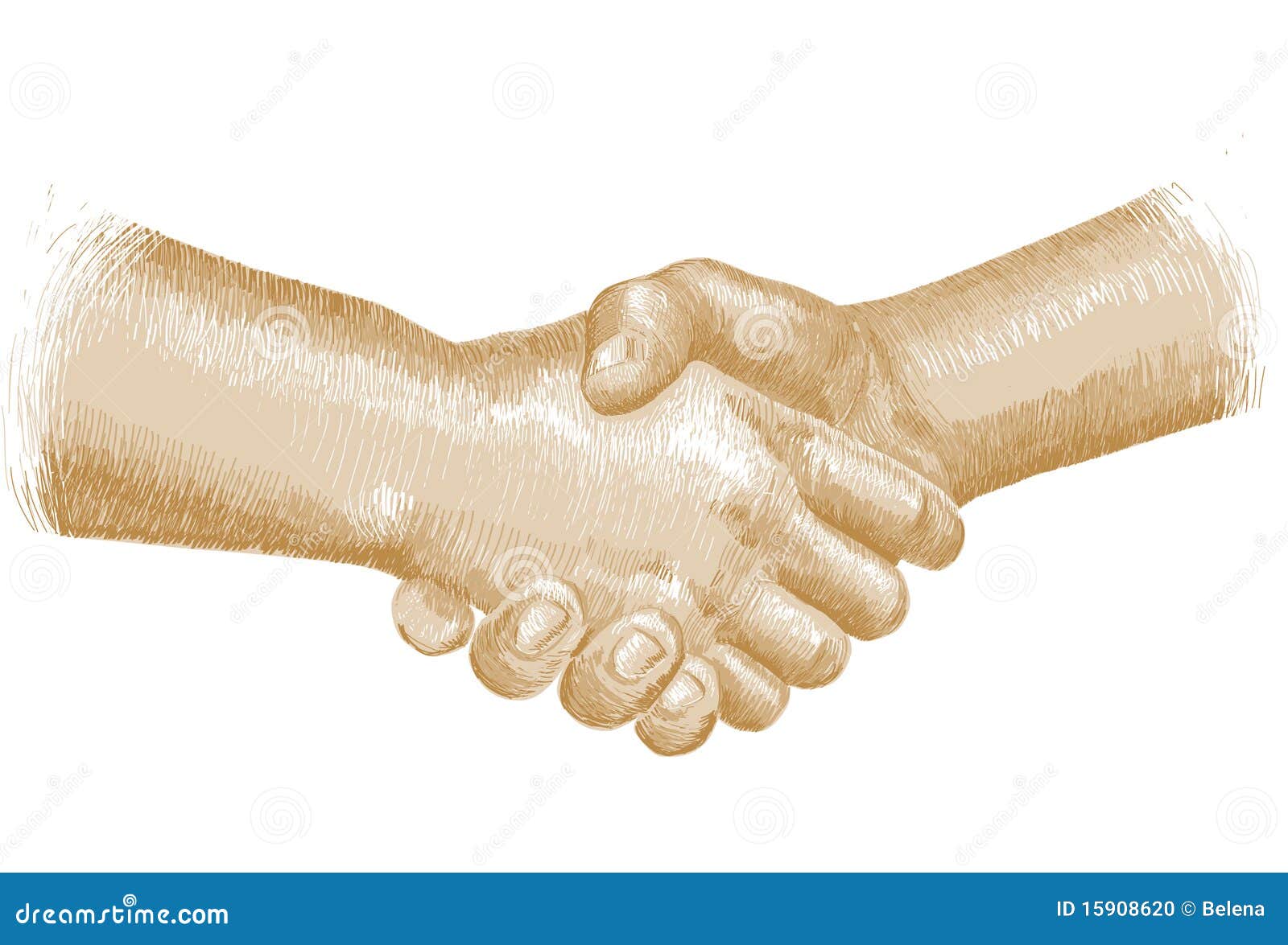 Golden handshake stock vector. Illustration of drawing - 15908620