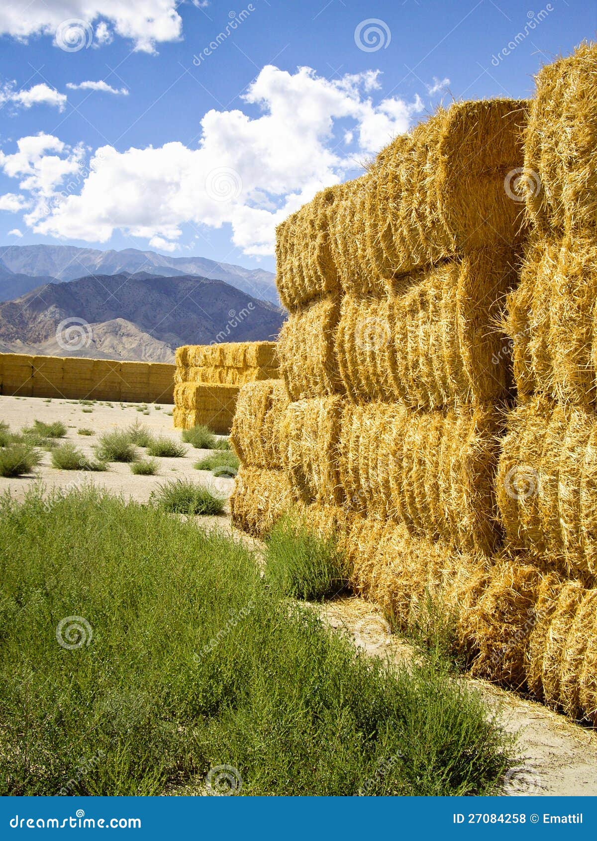 Golden Hay stock photo. Image of arid, farm, outdoors - 27084258