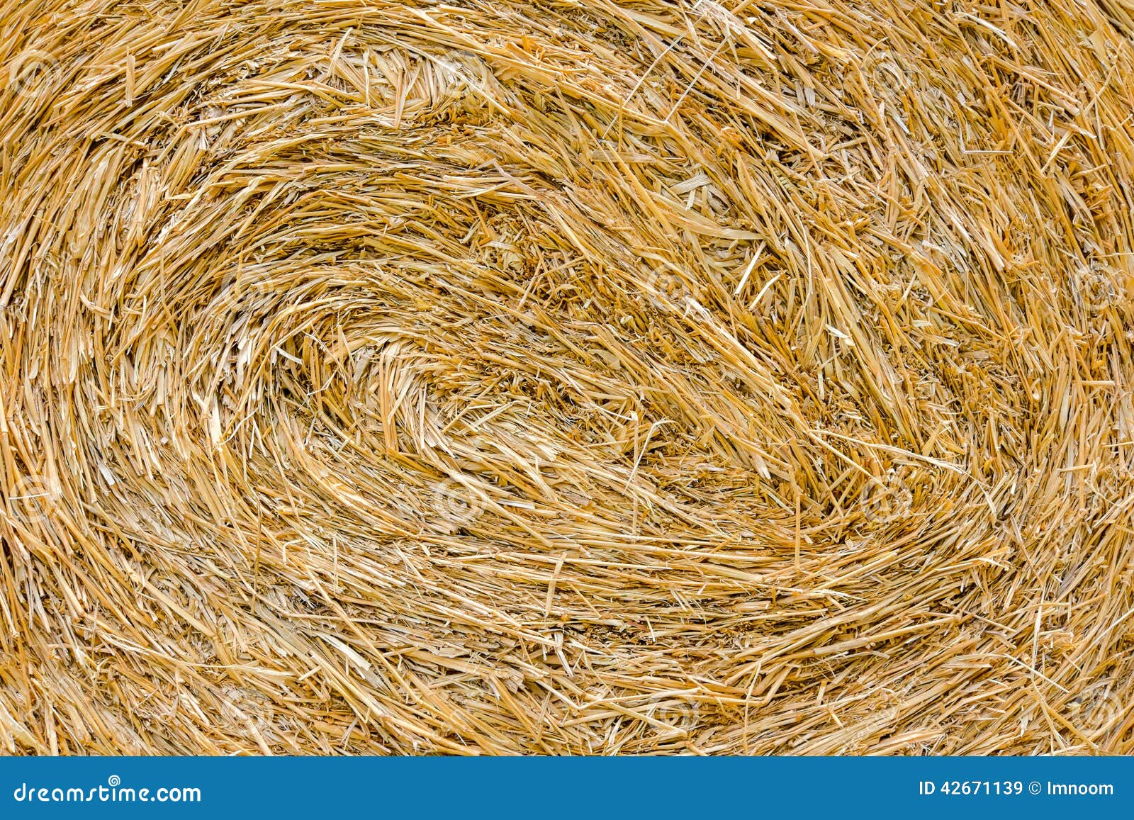 Golden Hay stock image. Image of stack, nature, grass - 42671139